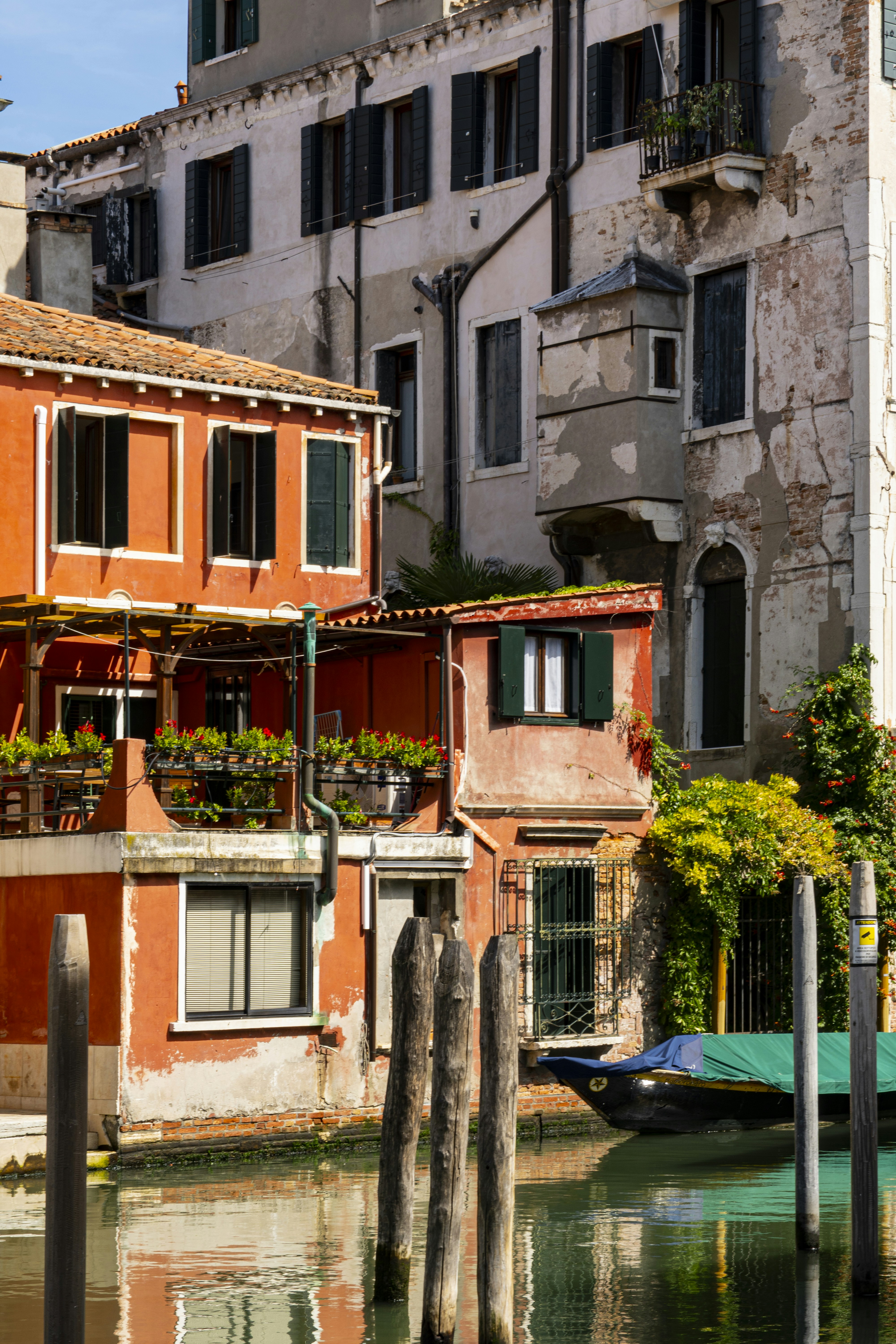 Photo by Amin with Sony Alpha 6400