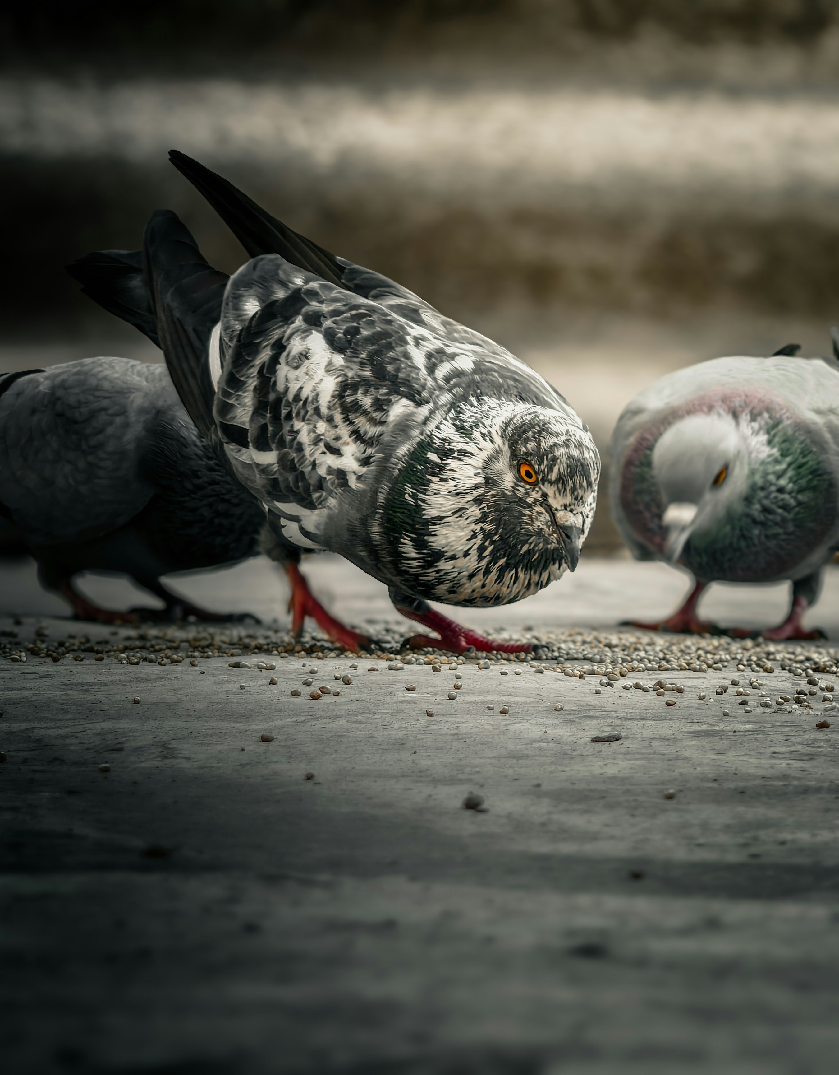 Photo by JATIN DAYAL with Vivo X100