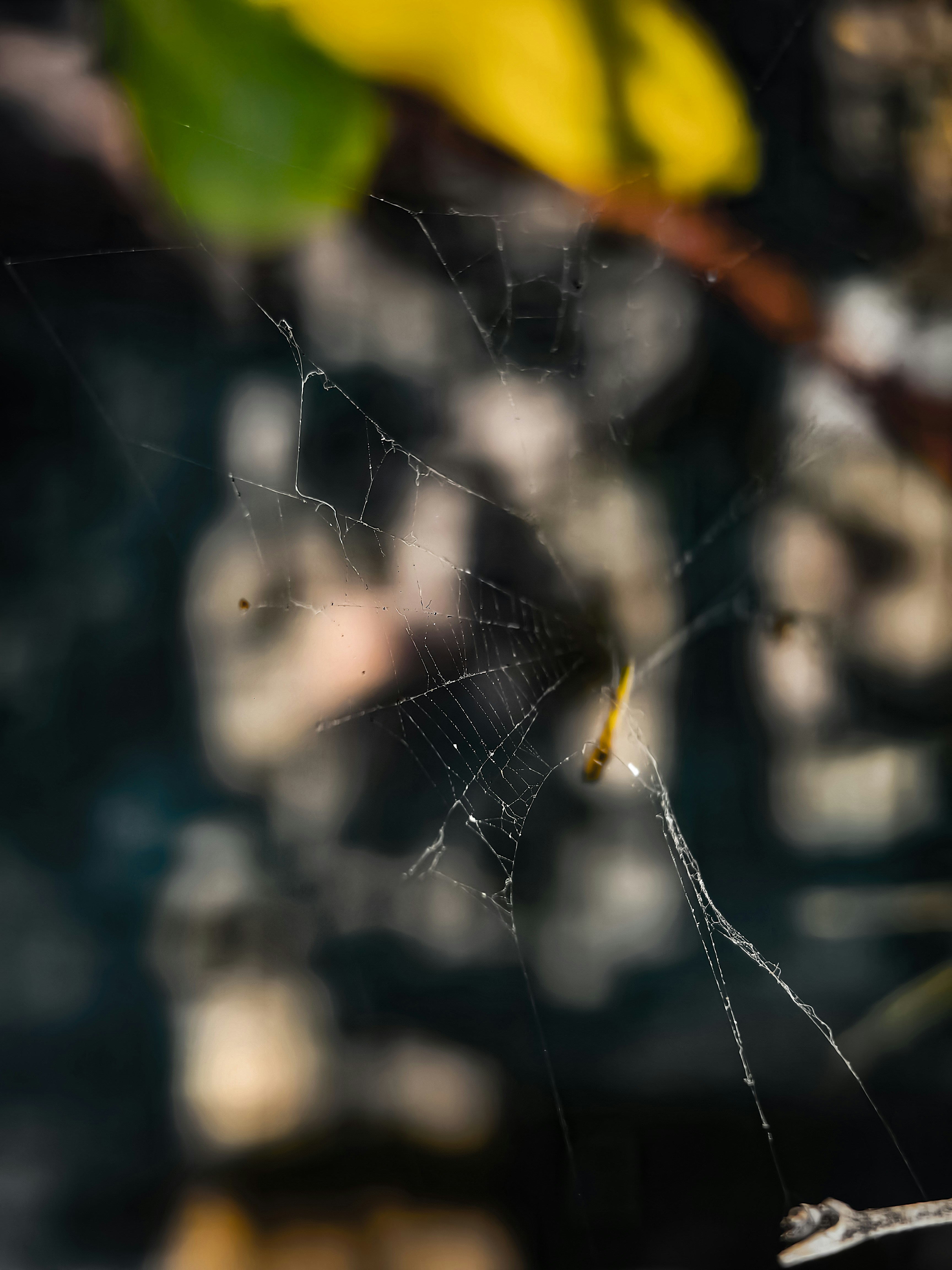 Photo by JATIN DAYAL with Vivo X100