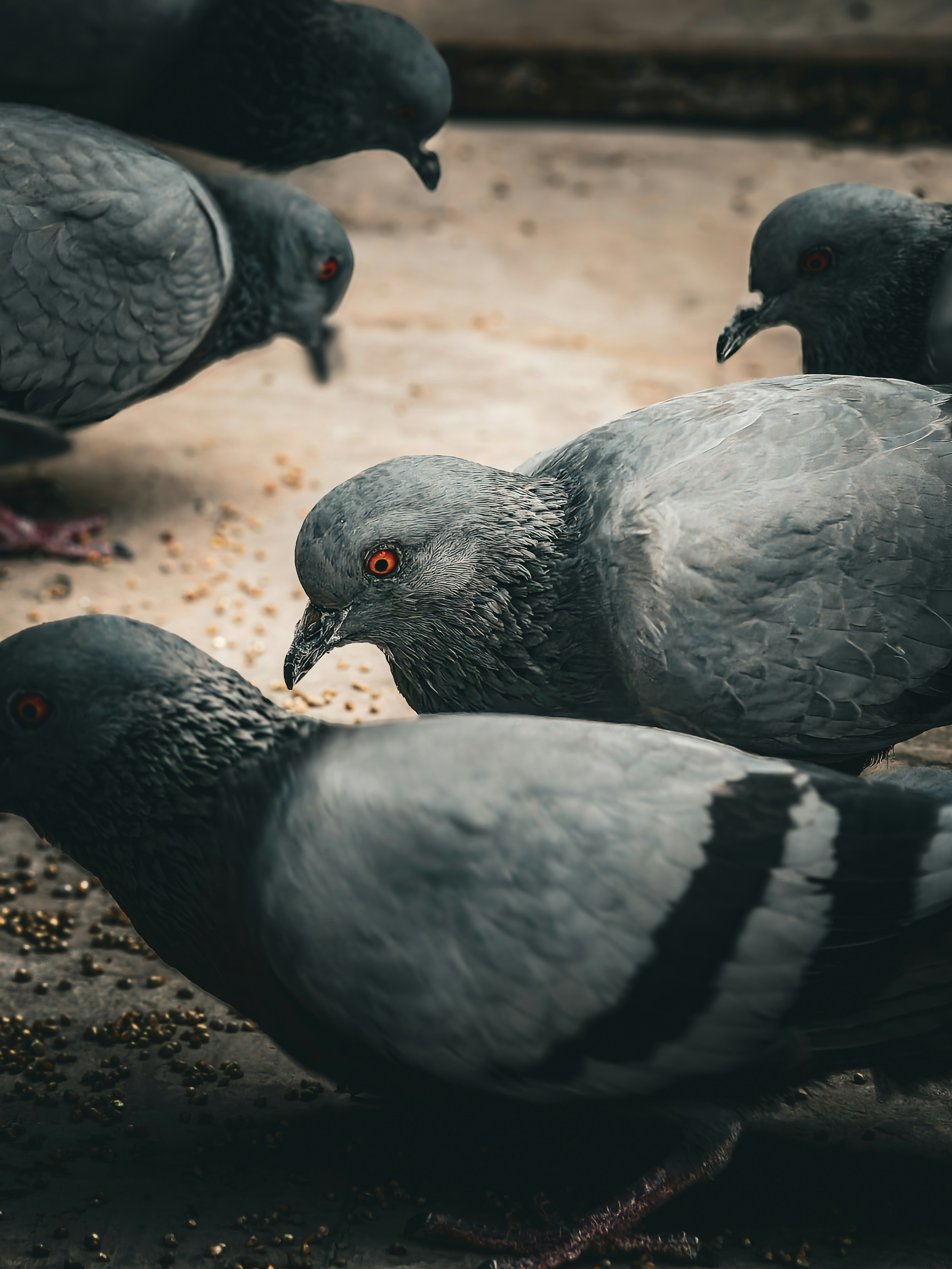 Photo by JATIN DAYAL with Vivo X100