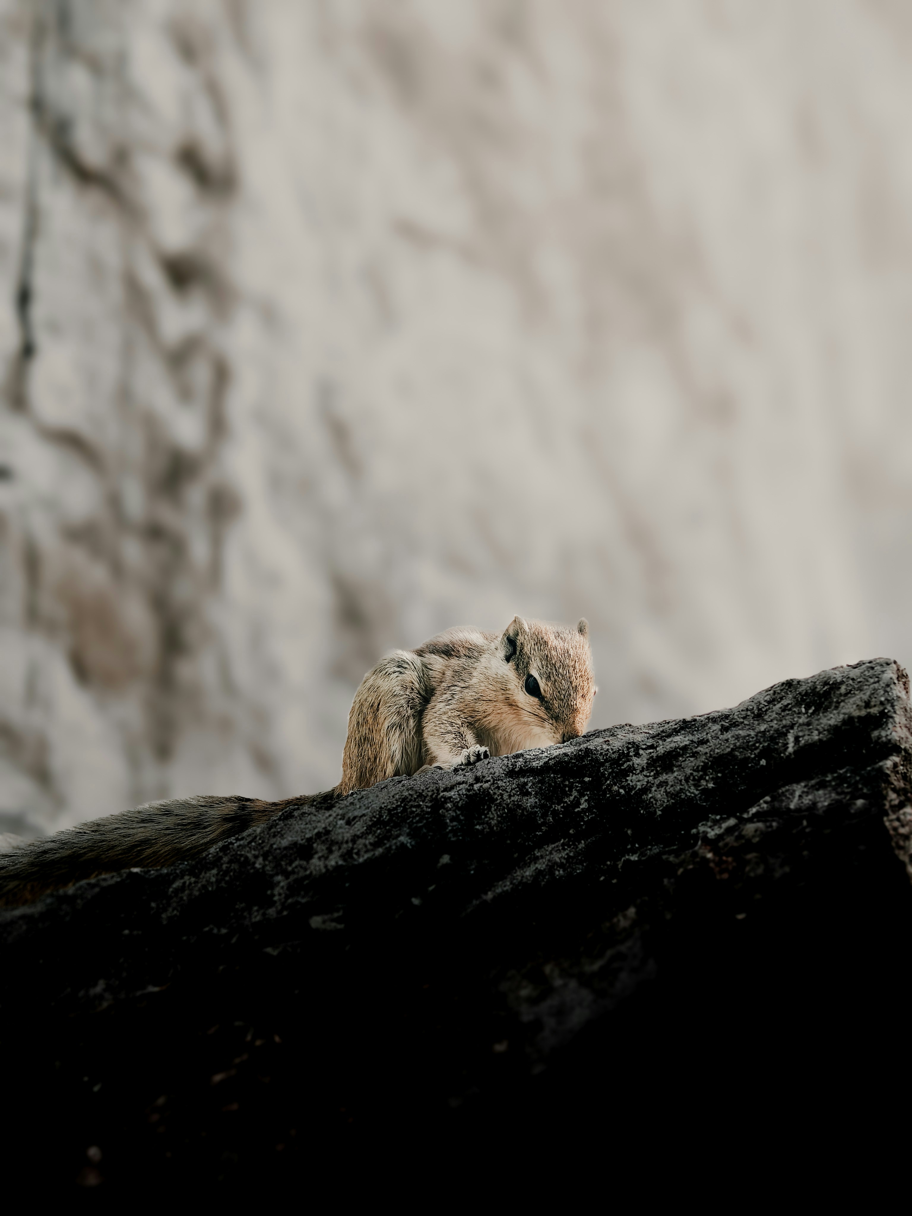 Photo by JATIN DAYAL with Vivo X100