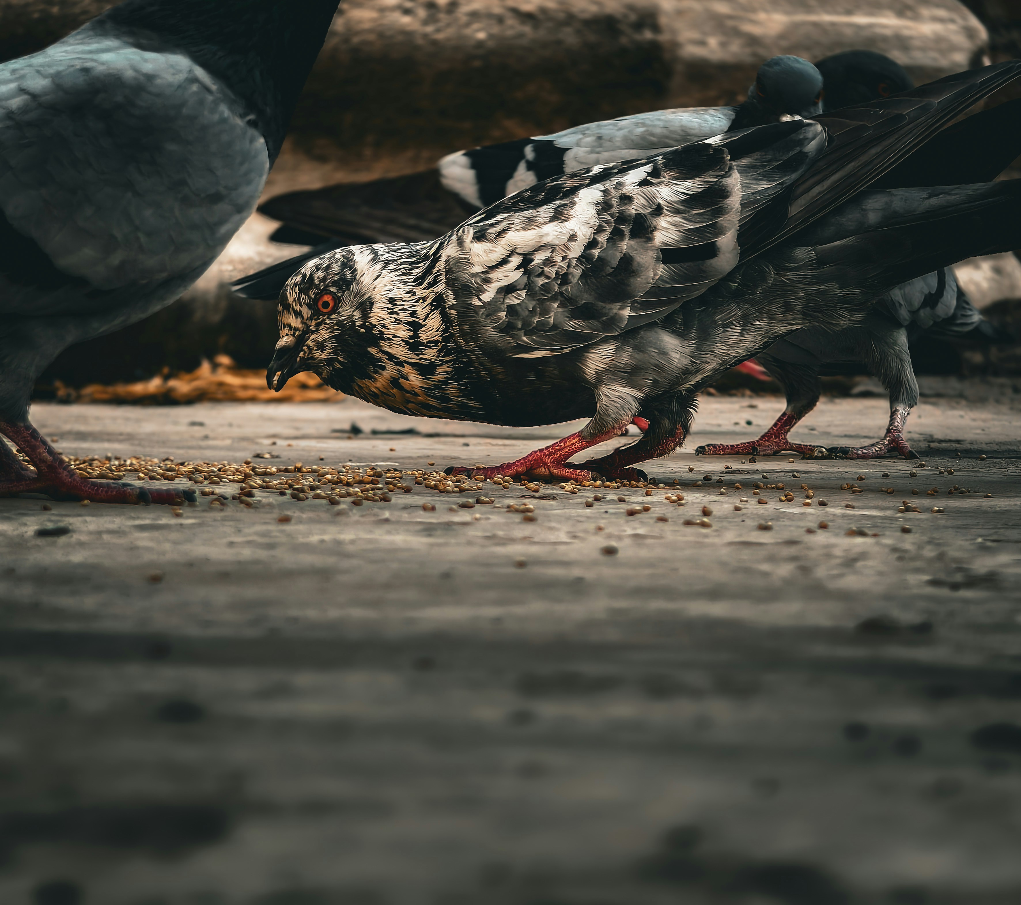 Photo by JATIN DAYAL with Vivo X100