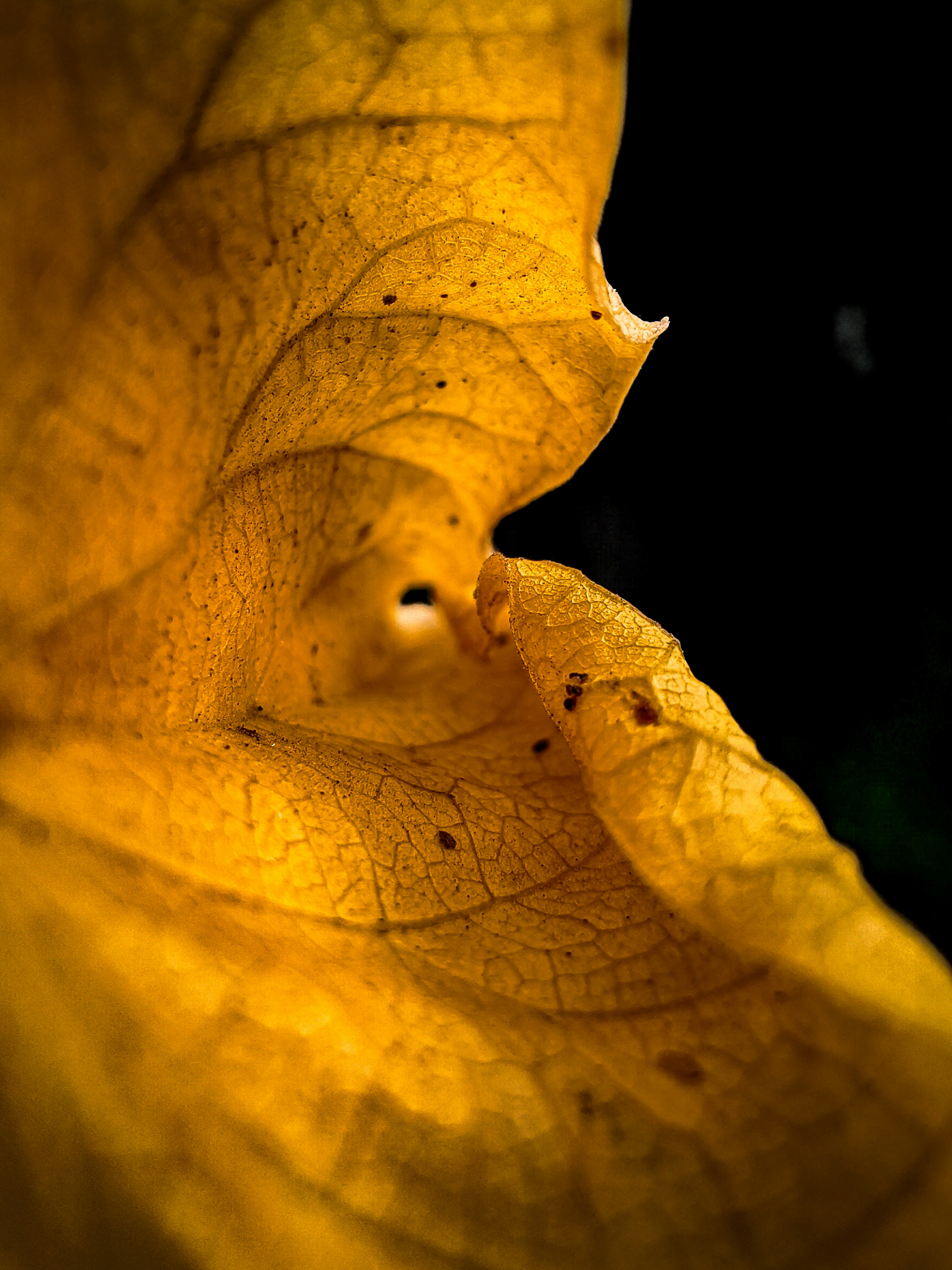 Photo by JATIN DAYAL with Vivo X100