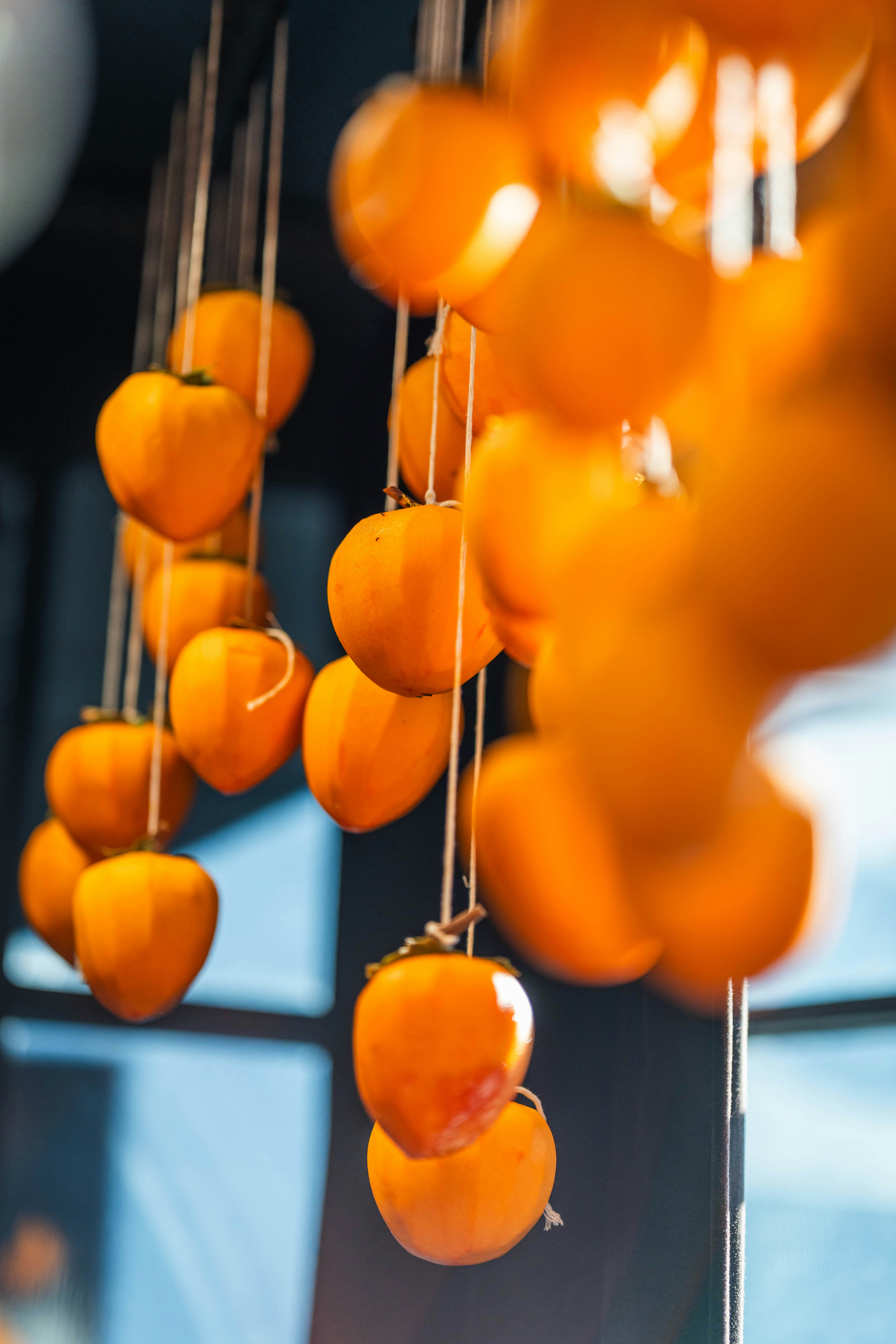 Tethered Persimmons in Window Light: A Cascade of Orange Orbs