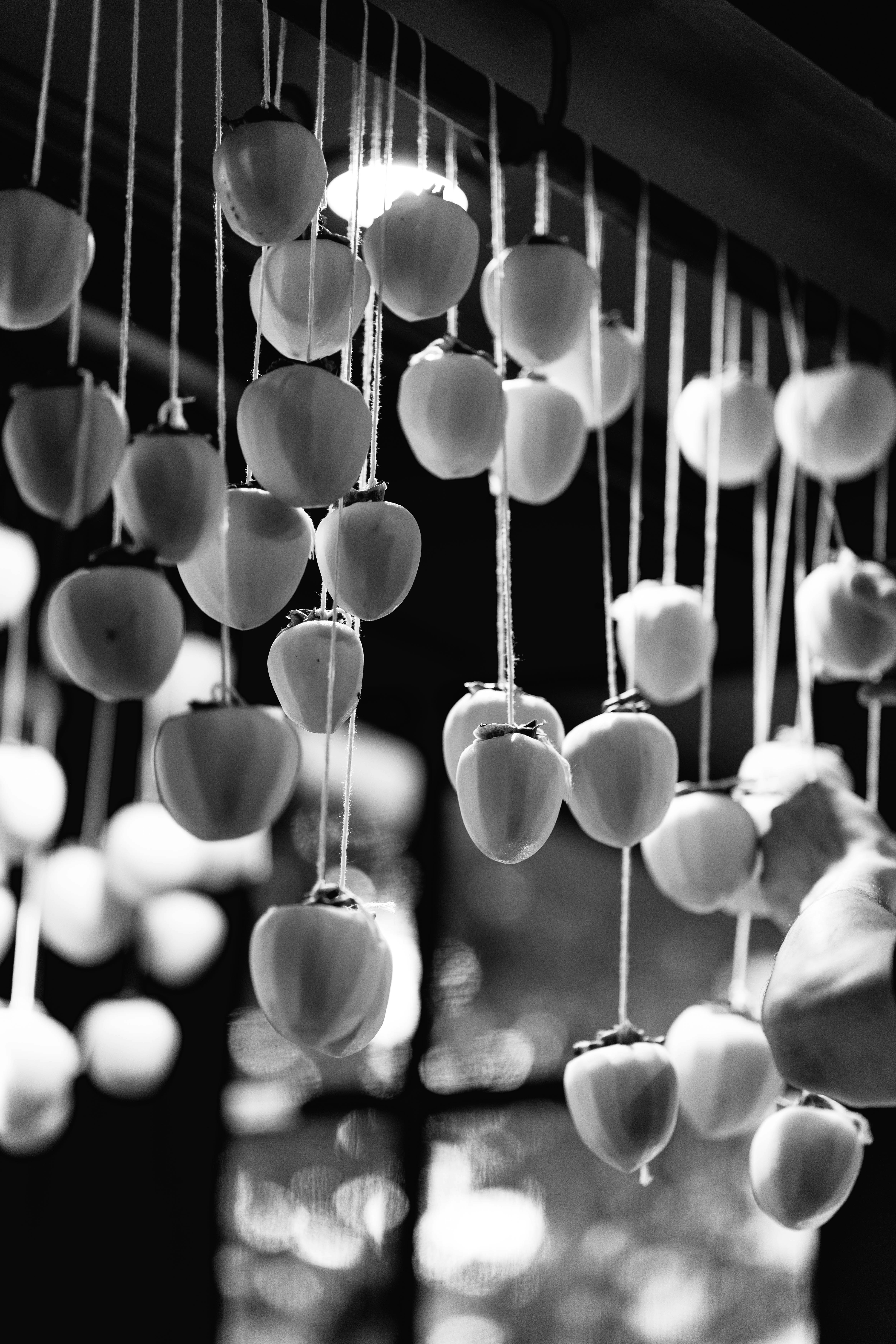 Photo by Madeline Liu with Sony Alpha 7 IV