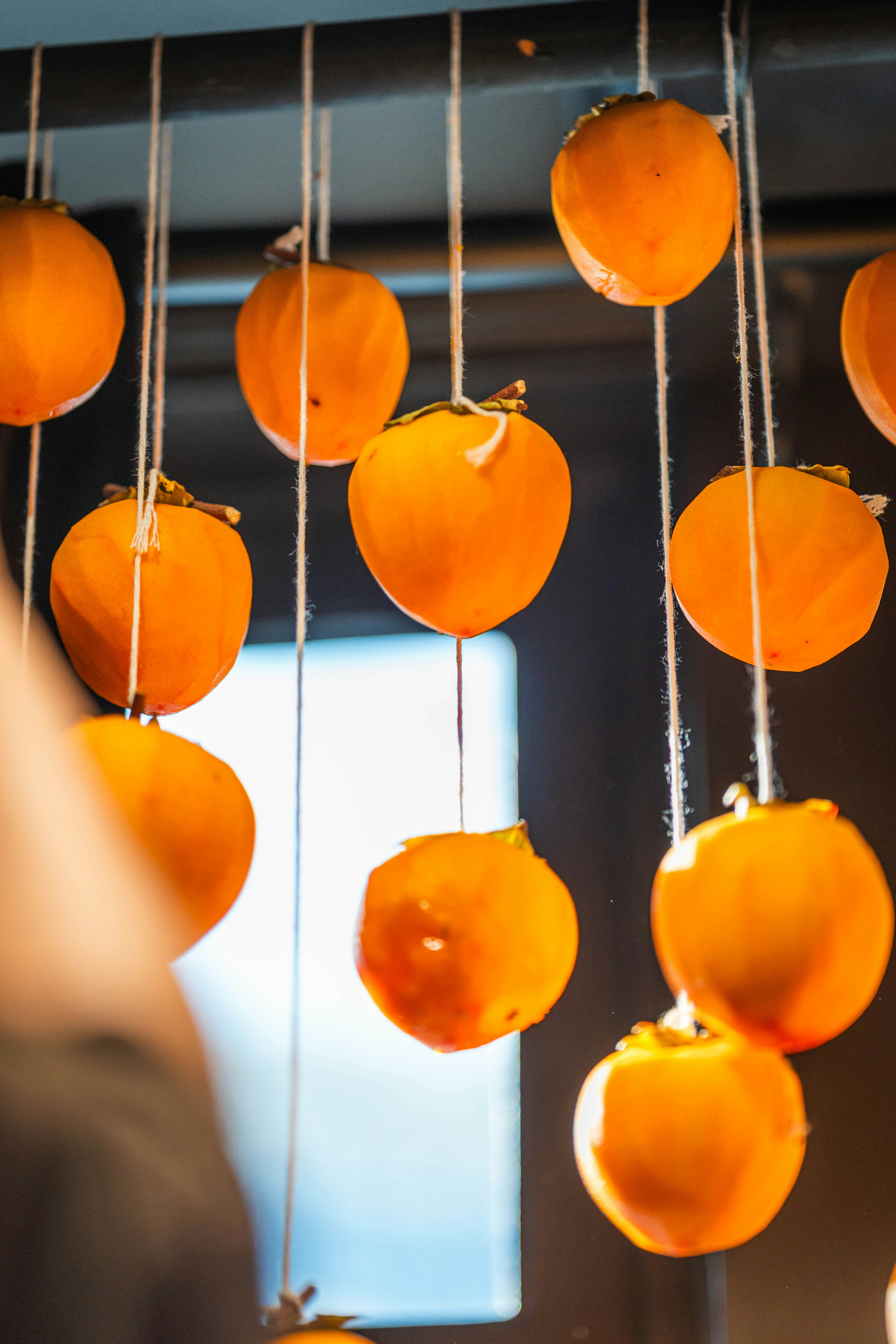 Persimmon Strings: Warm Orbs Dangling in a Backlit Studio