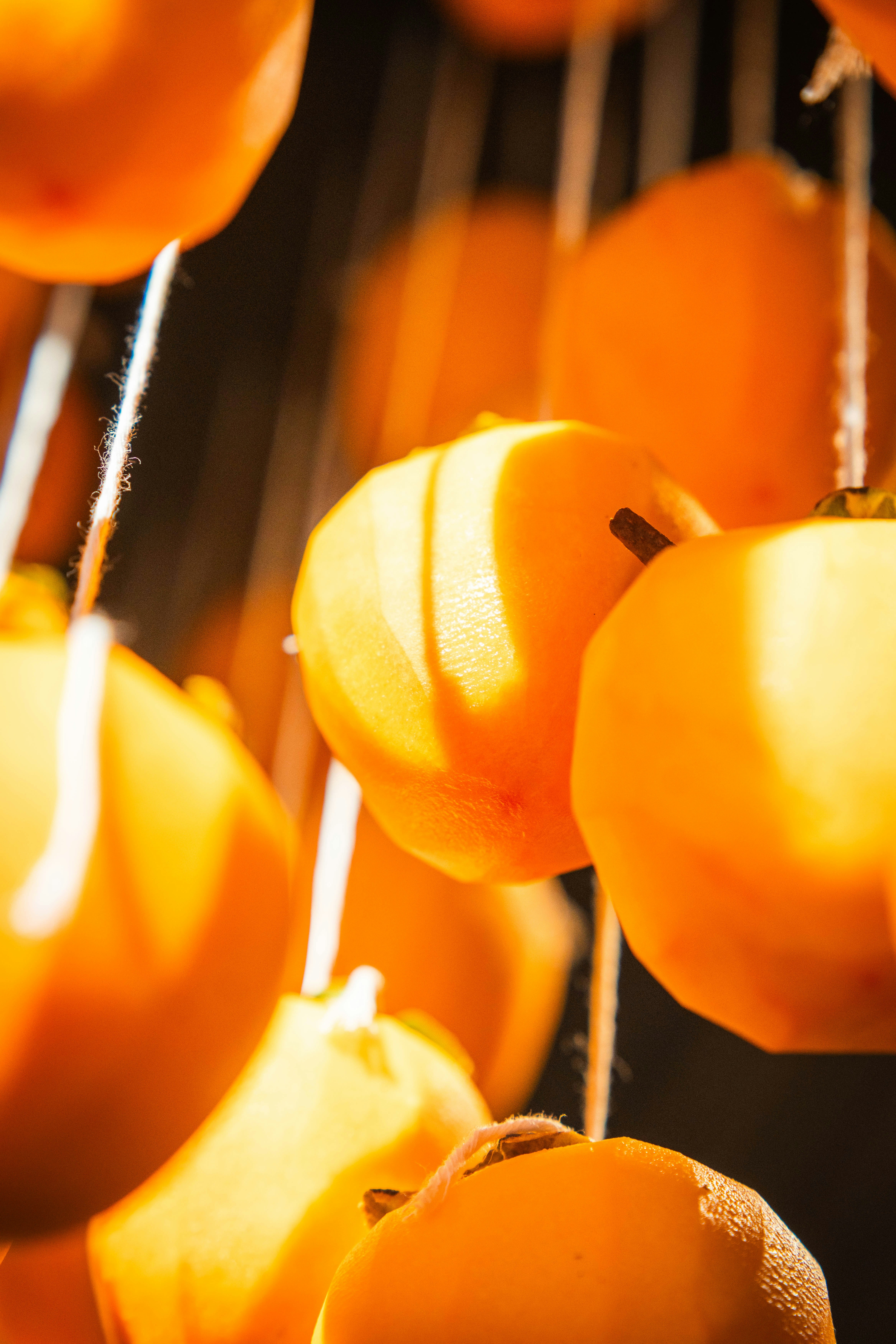 Photo by Madeline Liu with Sony Alpha 7 IV