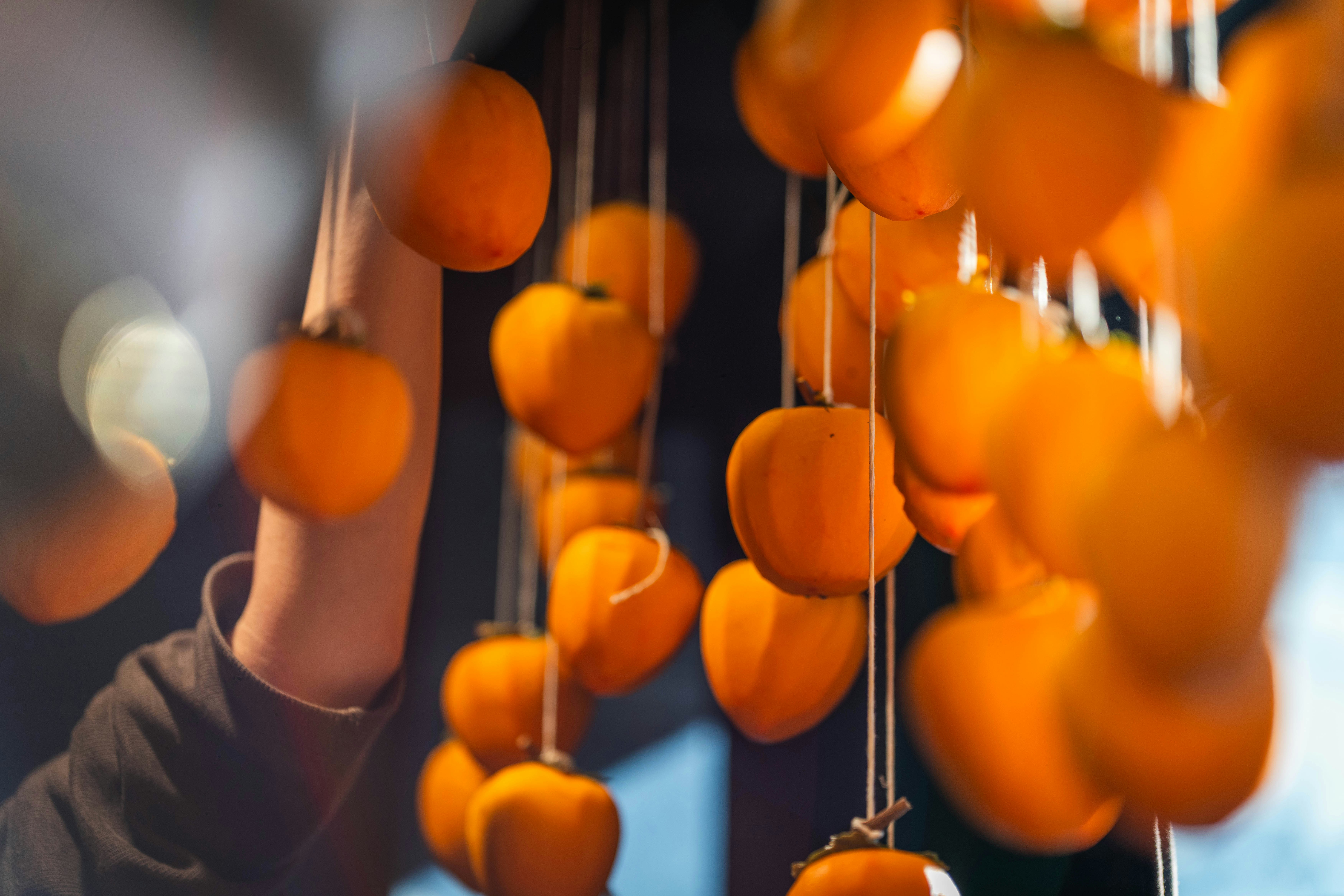 Amber Orbs on Strings: A Reaching Hand Emerges Through Velvet Bokeh