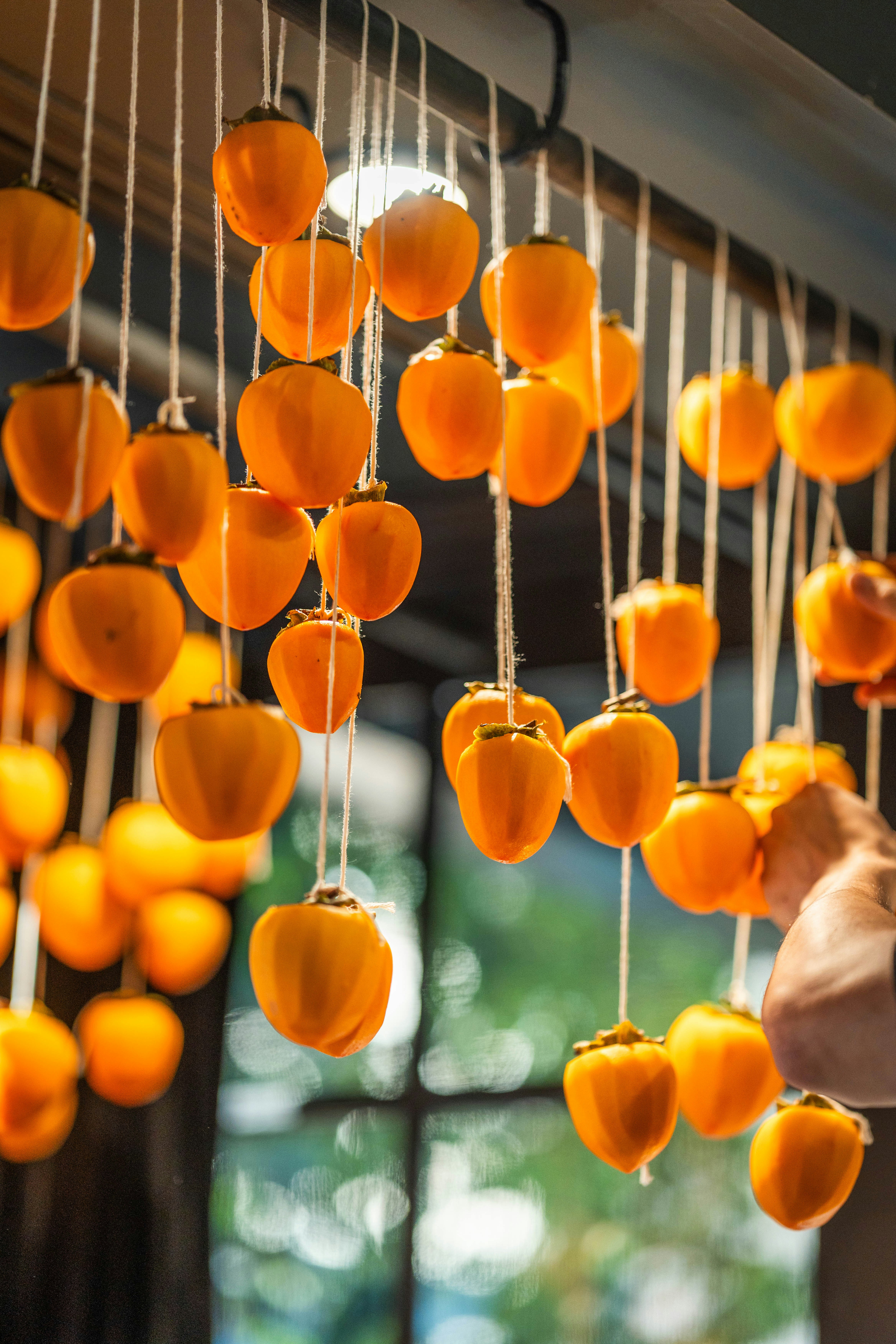 Strings of Gold: Persimmons Drying in a Cozy Light