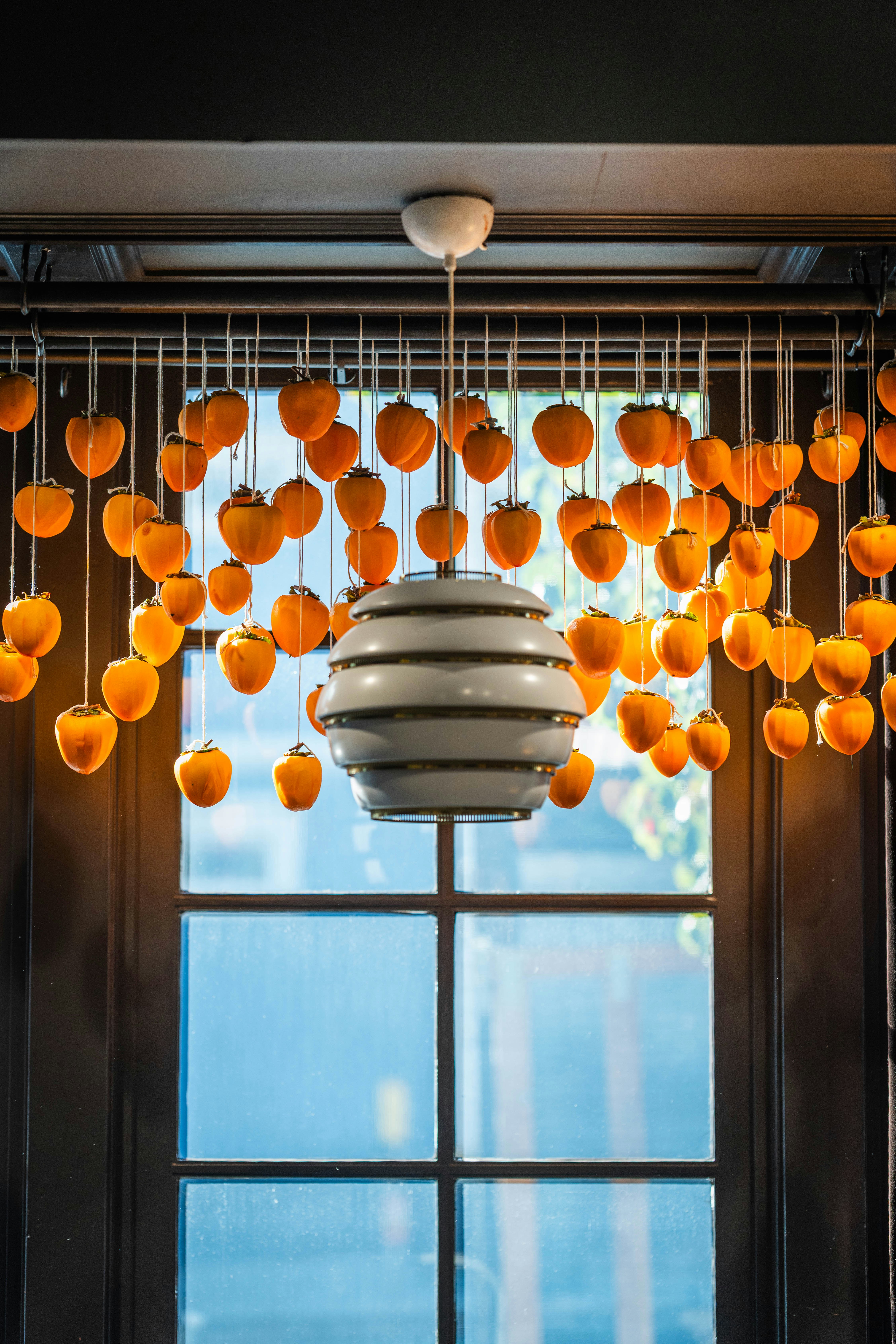 Oranges in Orbit: A Hanging Fruit Curtain Framing a Modern Pendant Lamp