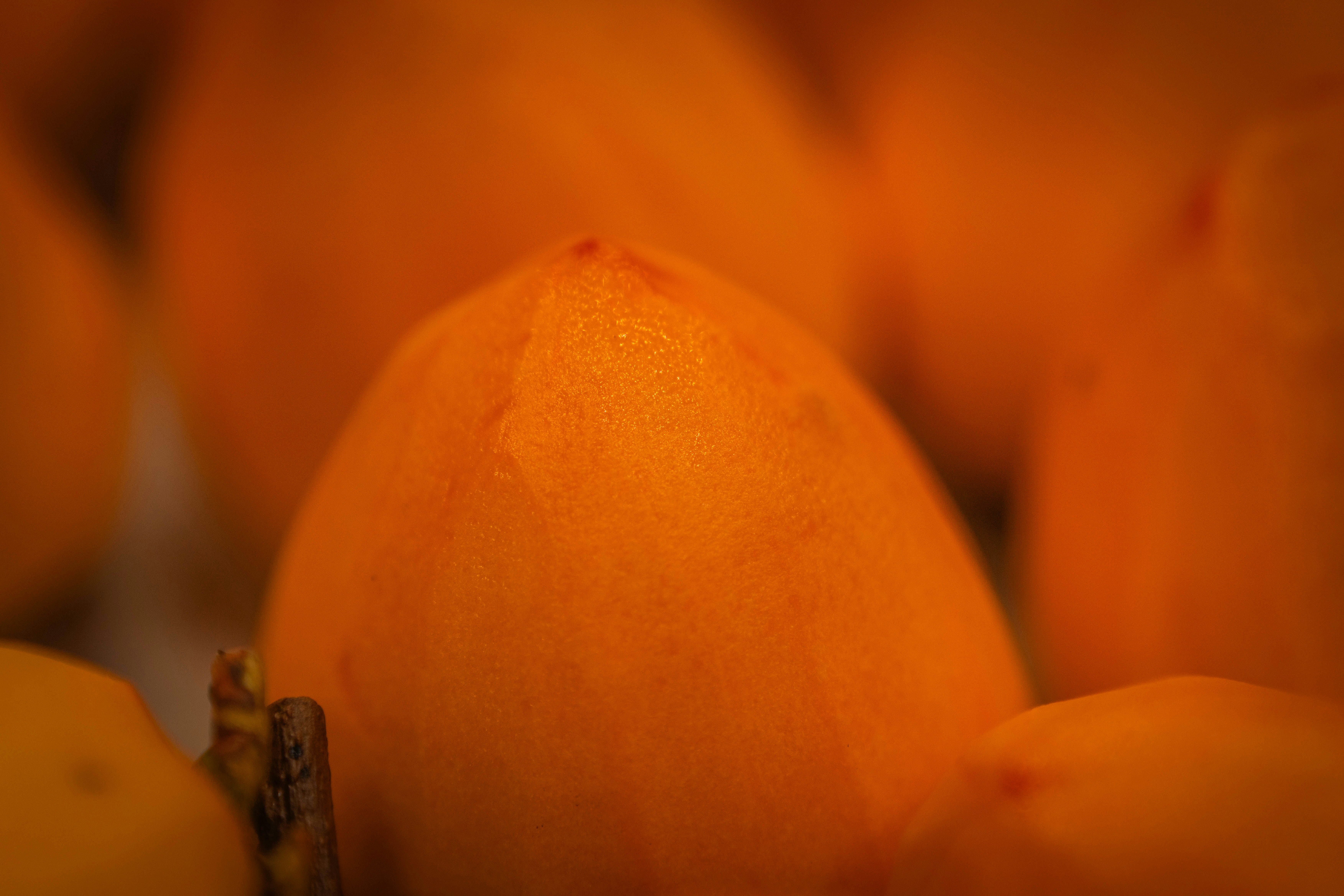 Macro Glow: Close-Up on a Sun-Warmed Orange