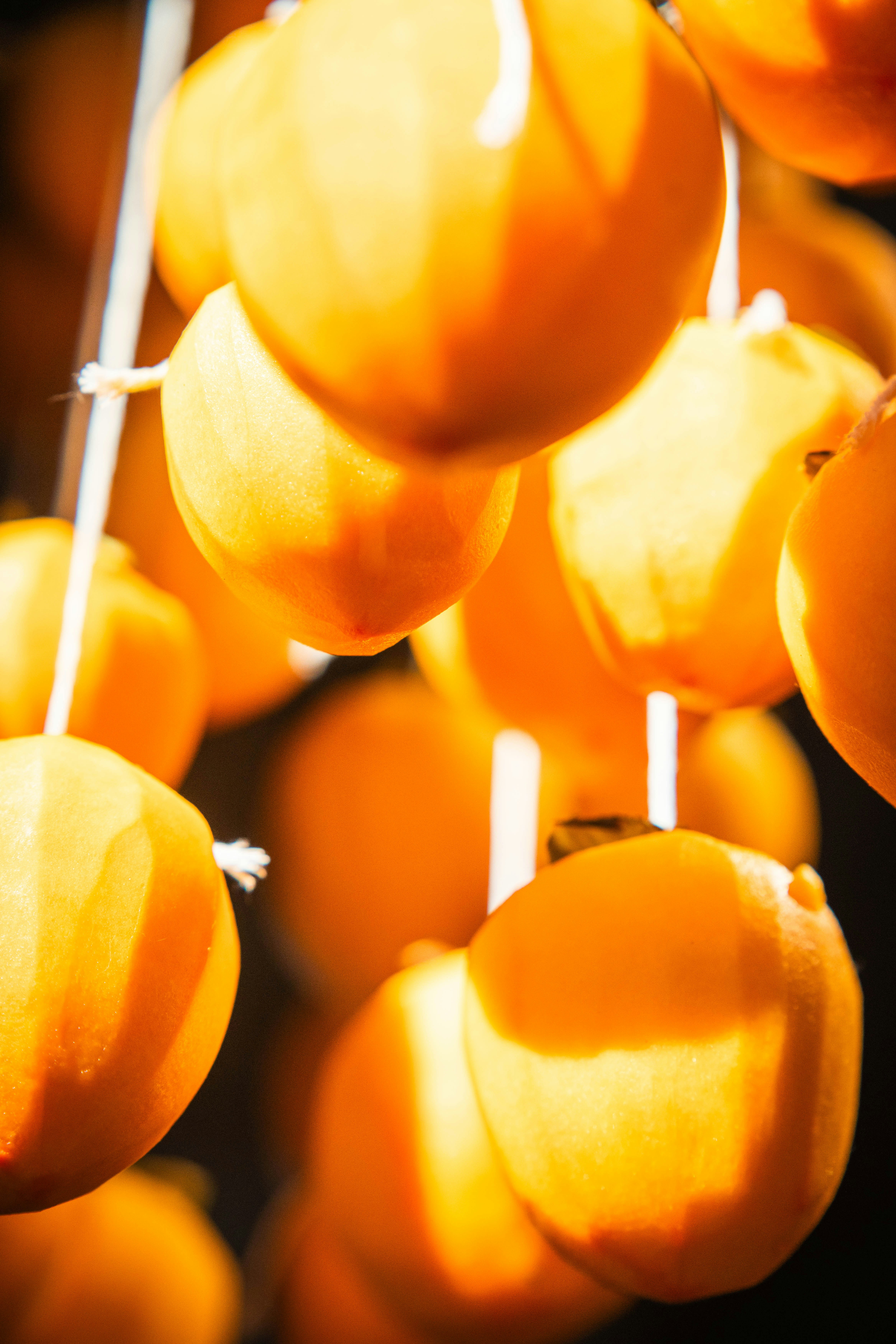 Sunlit Orbs on Strings: A Tangle of Autumn Orange