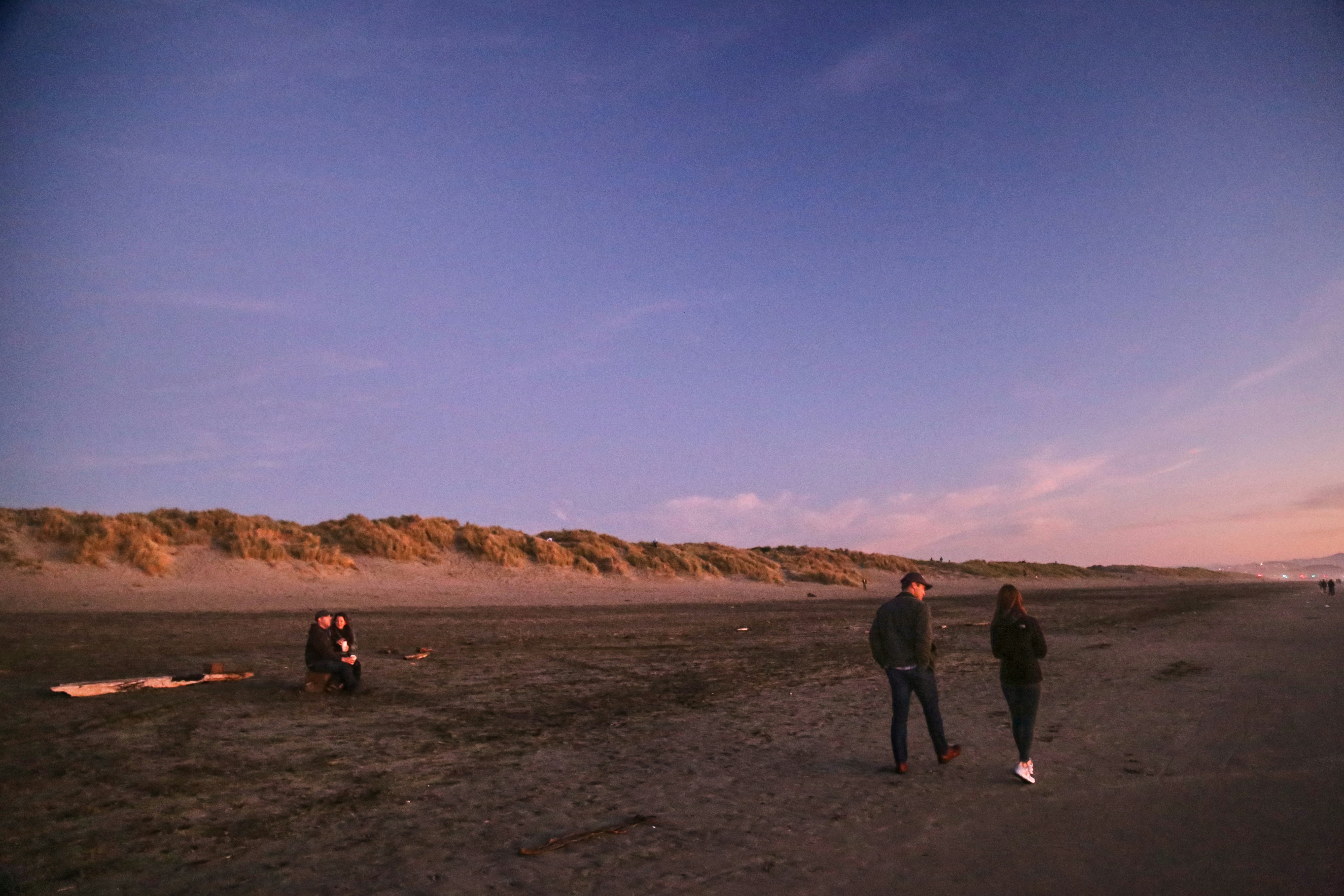 Dusk Walkers on a Dune-Strewn Shore