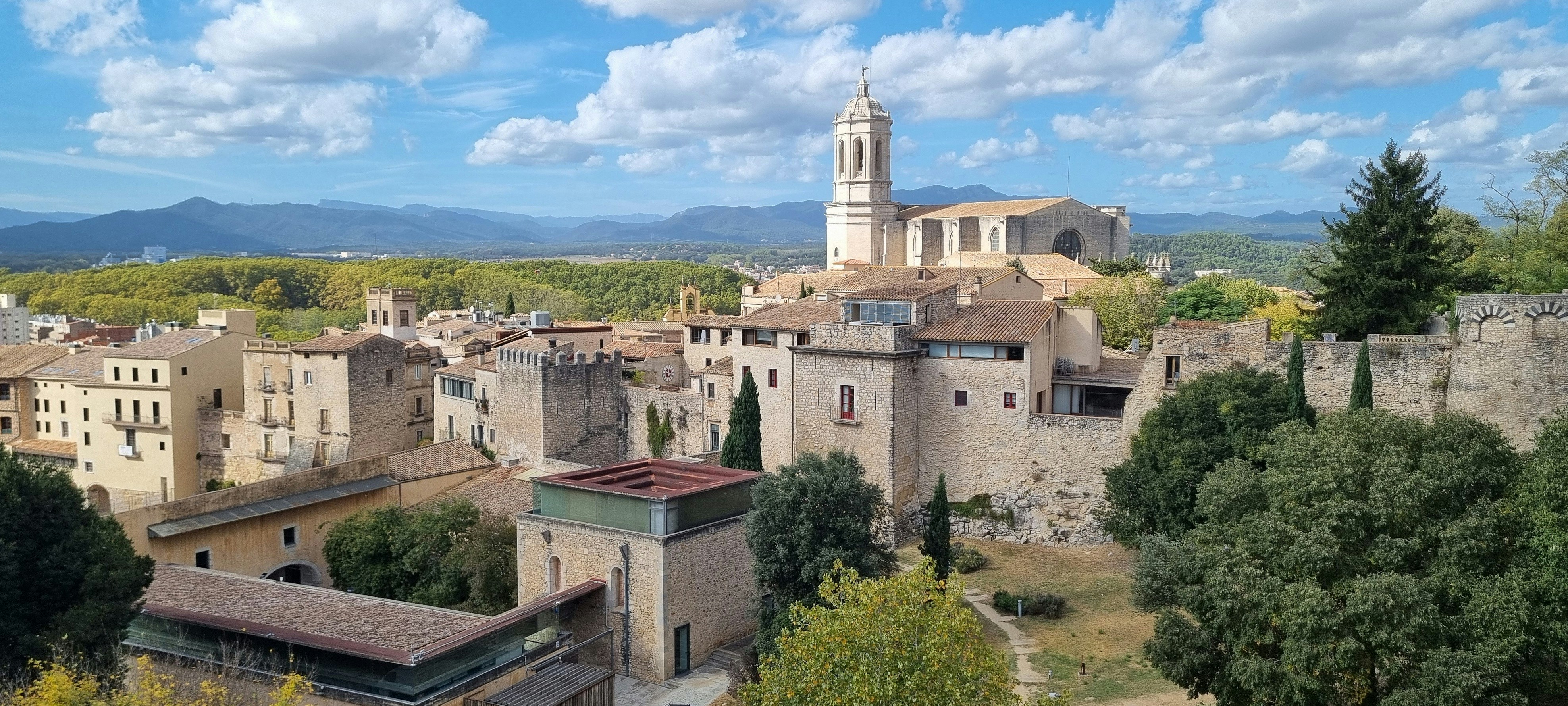Bell Tower Over a Sunlit Provençal Village
