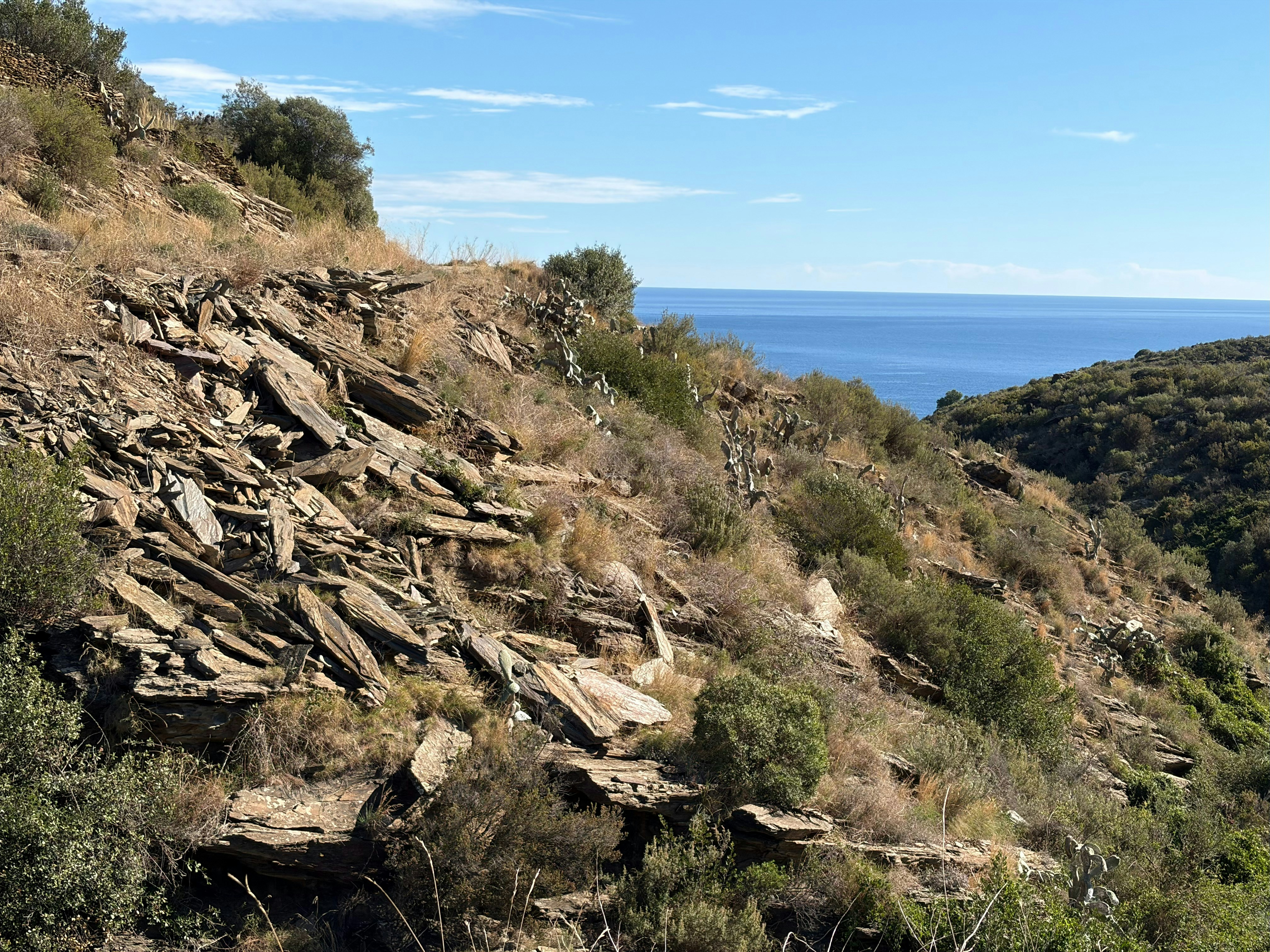 Photo by Sergey Konstantinov with Apple iPhone 17