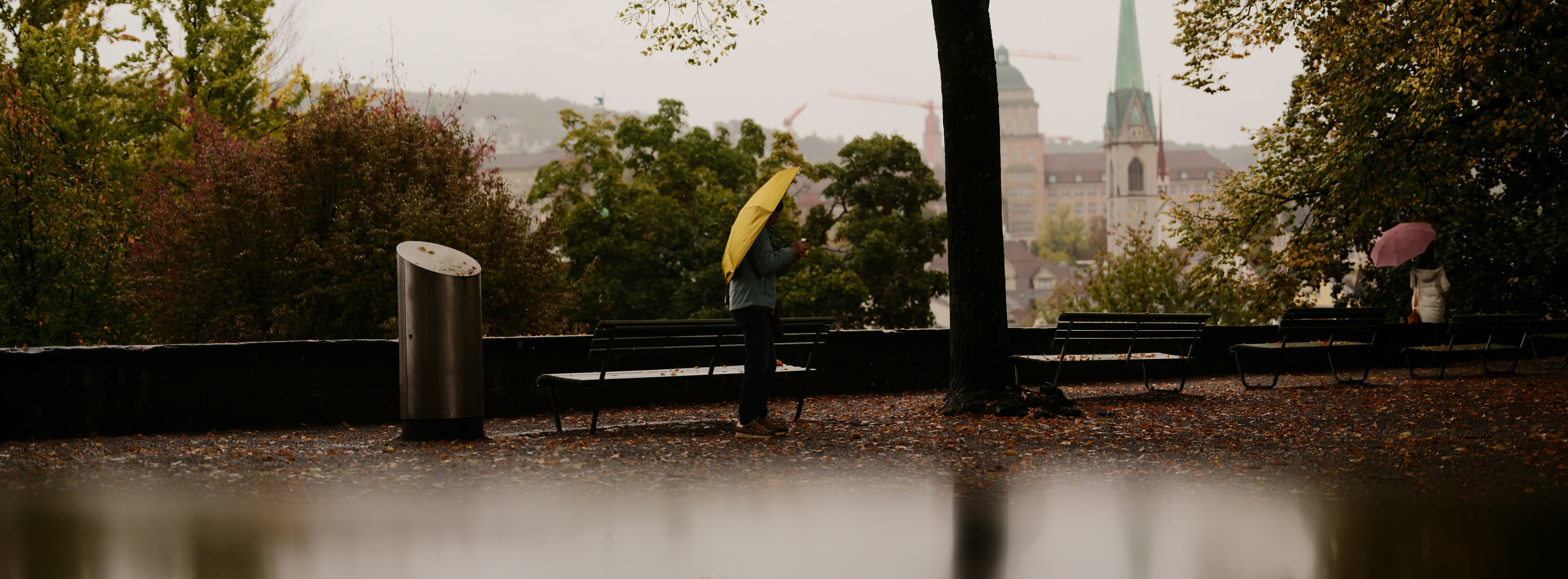 Yellow Umbrella Between Rain-Washed Benches in a Quiet City Park