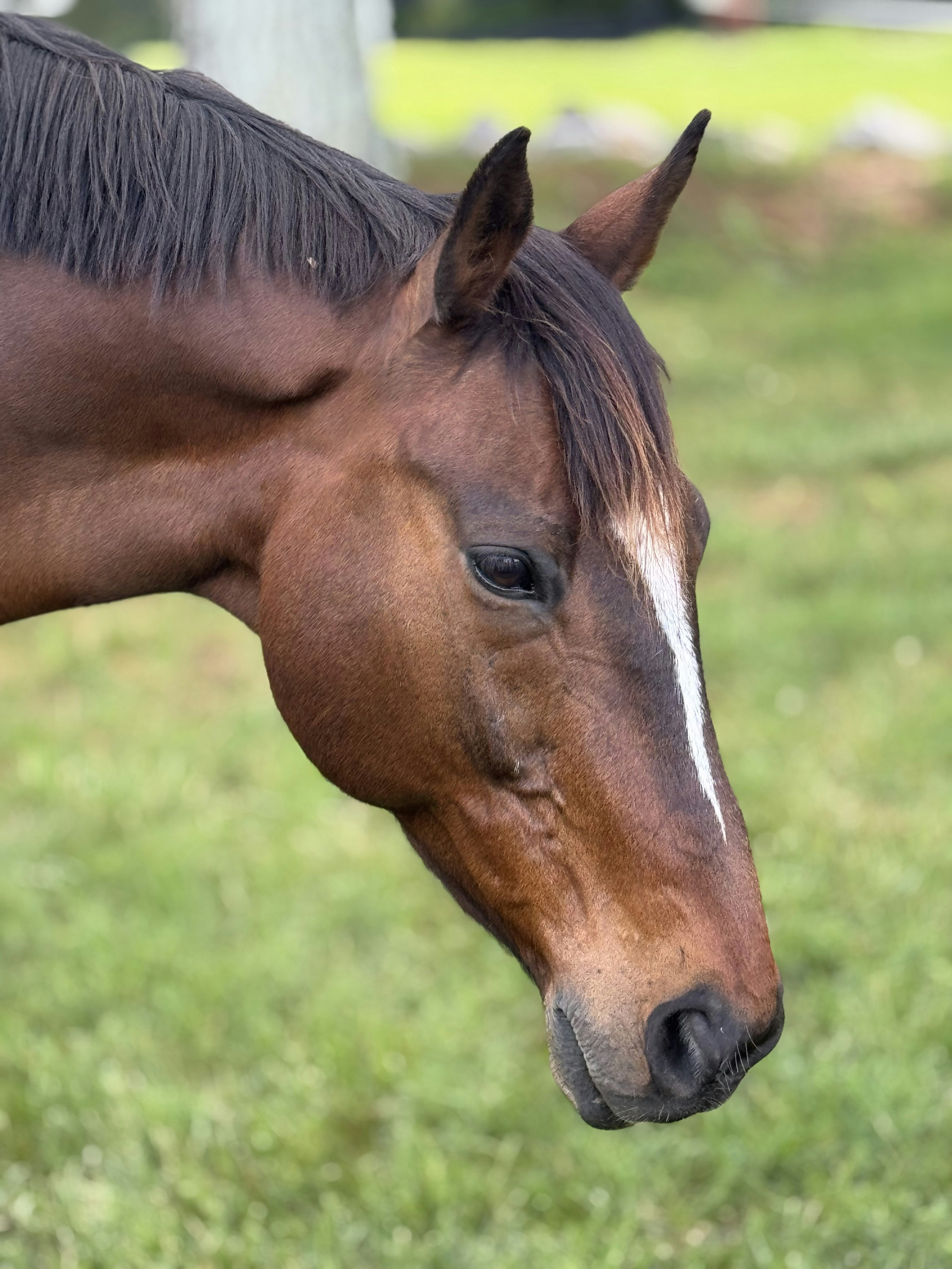 Photo by Valerie Levay with Apple iPhone 15 Pro Max