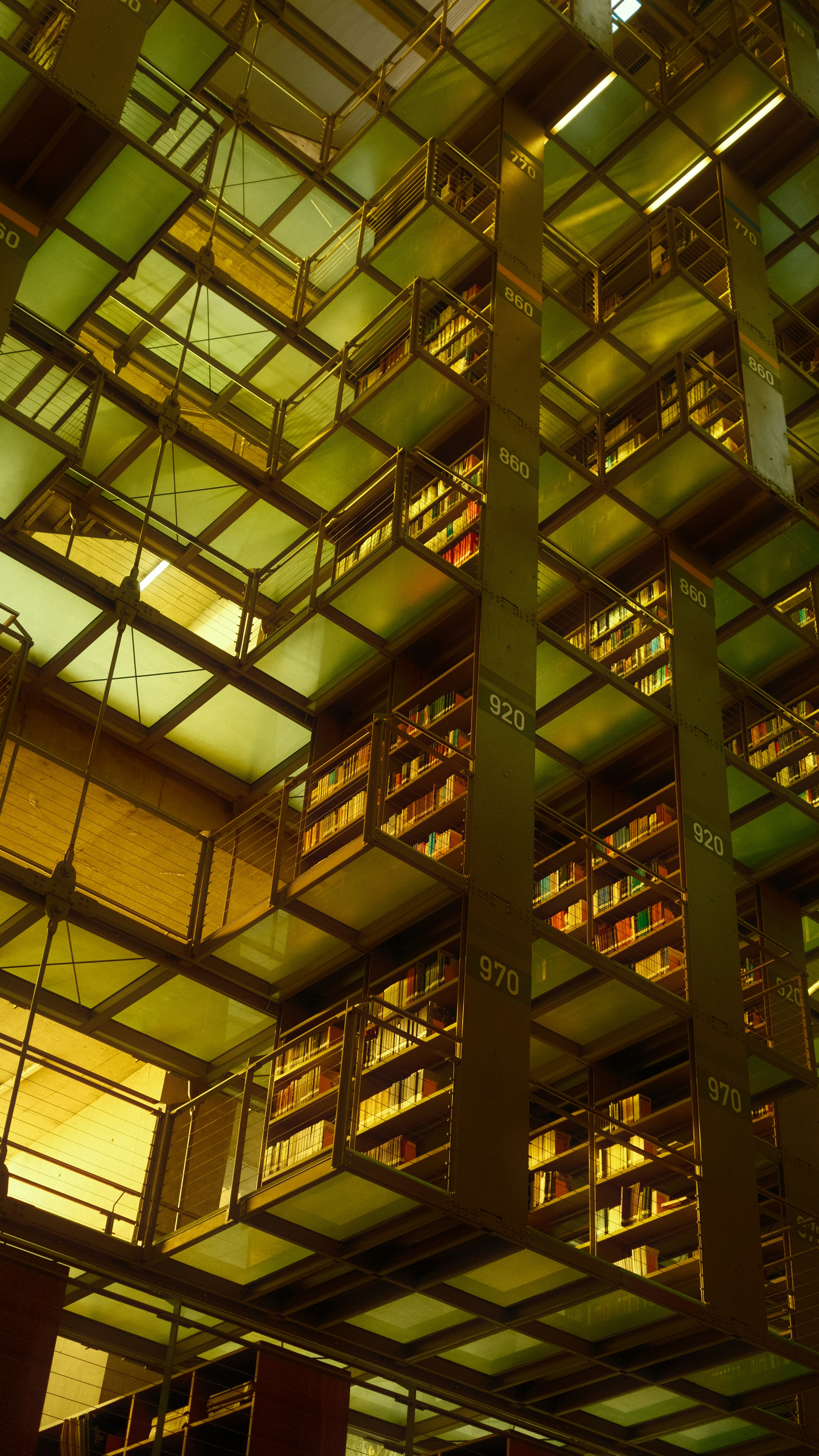 Lattice of Light: A Glass-and-Steel Library Atrium