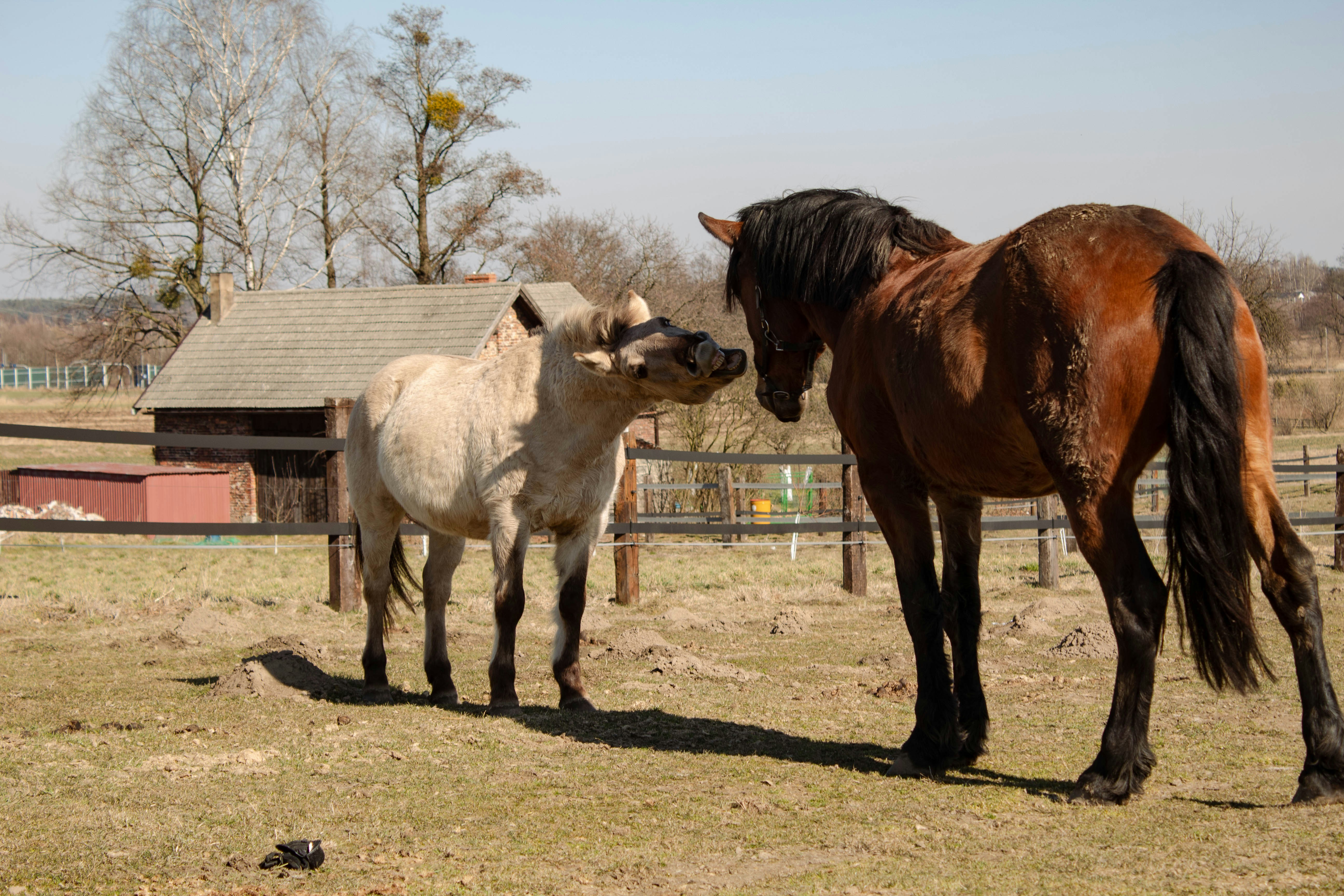 Photo by Zuzanna Kozik with Canon EOS 1300D