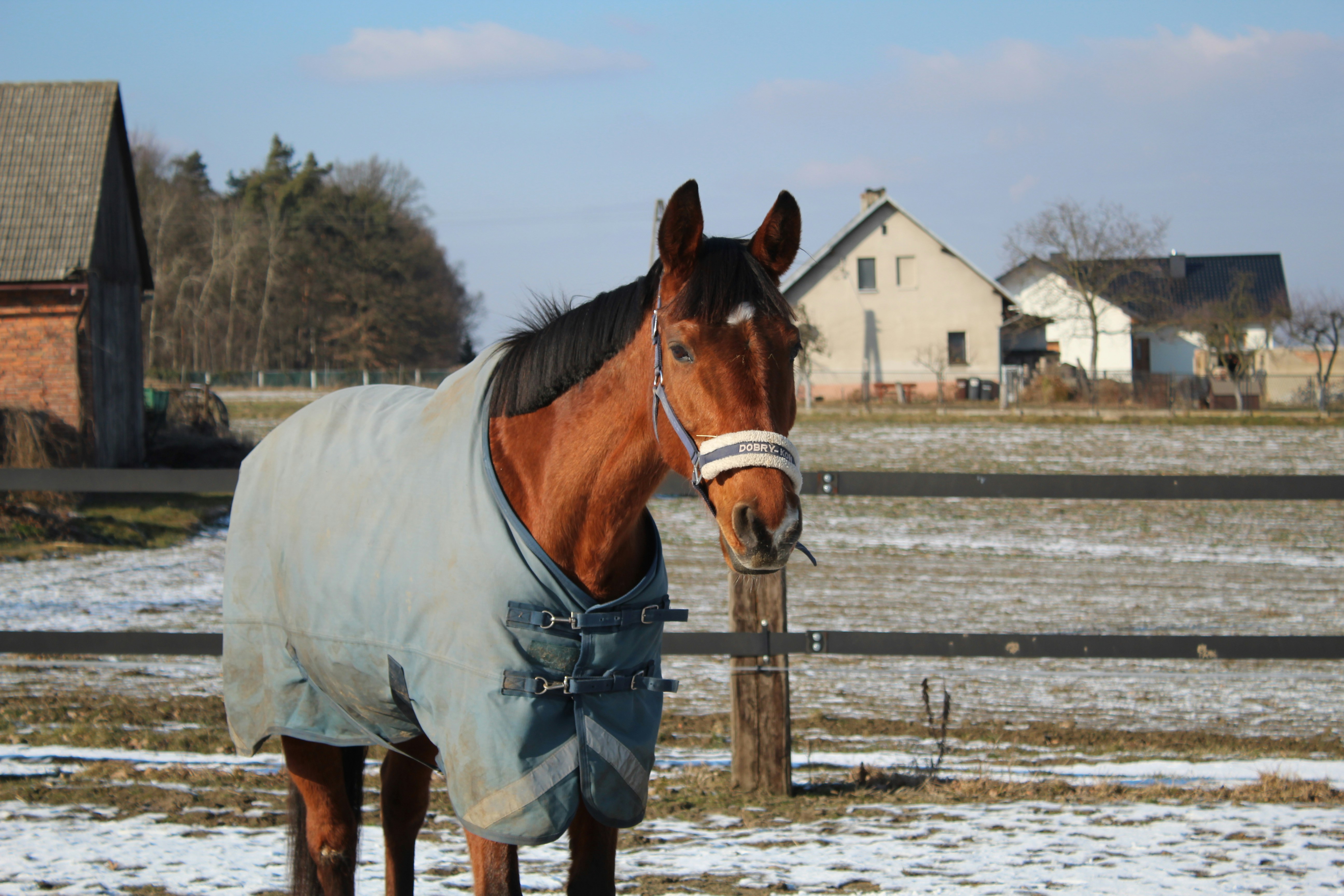 Photo by Zuzanna Kozik with Canon EOS 1300D