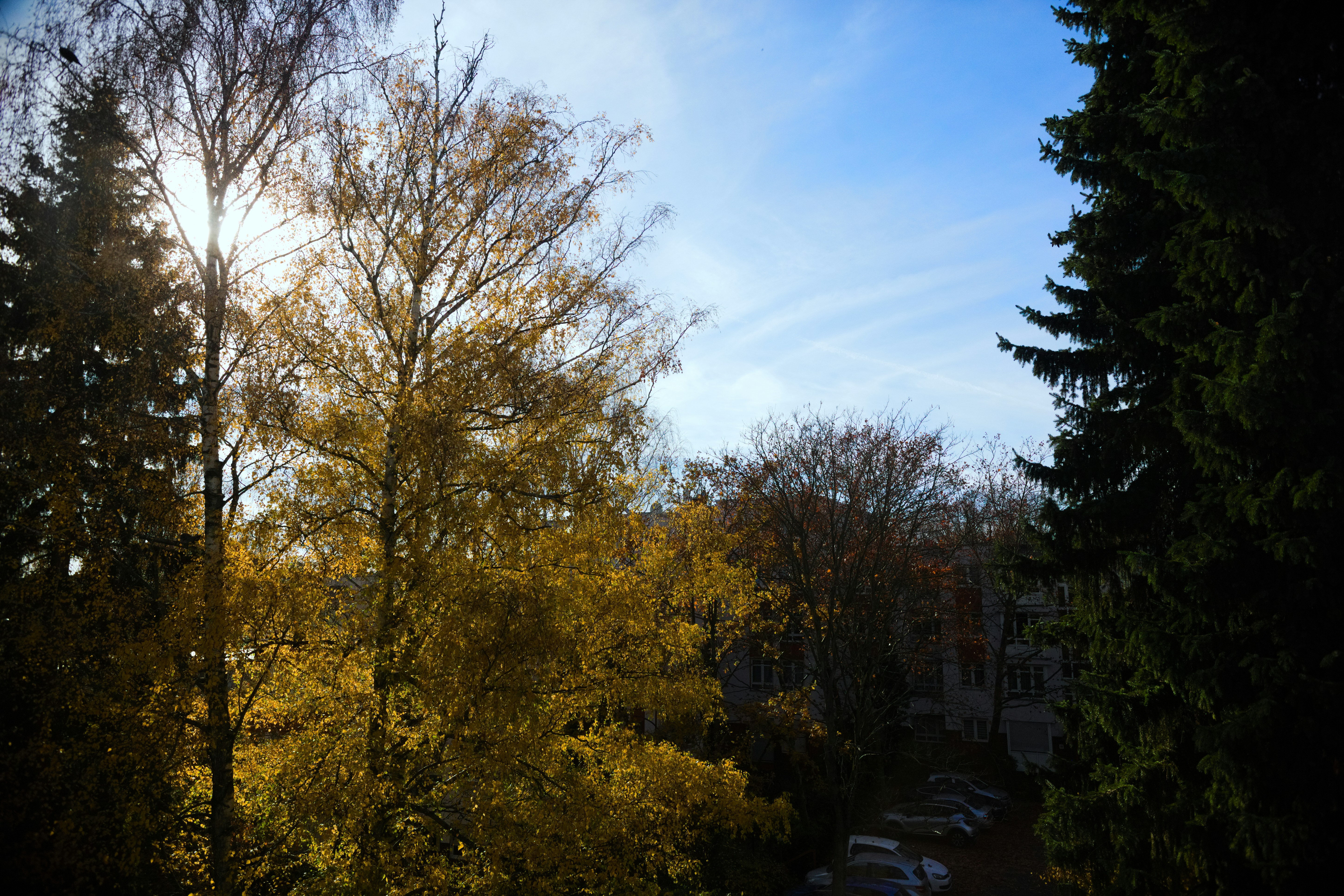 Photo by Tobias Kalinke with Canon EOS 5D Mark III