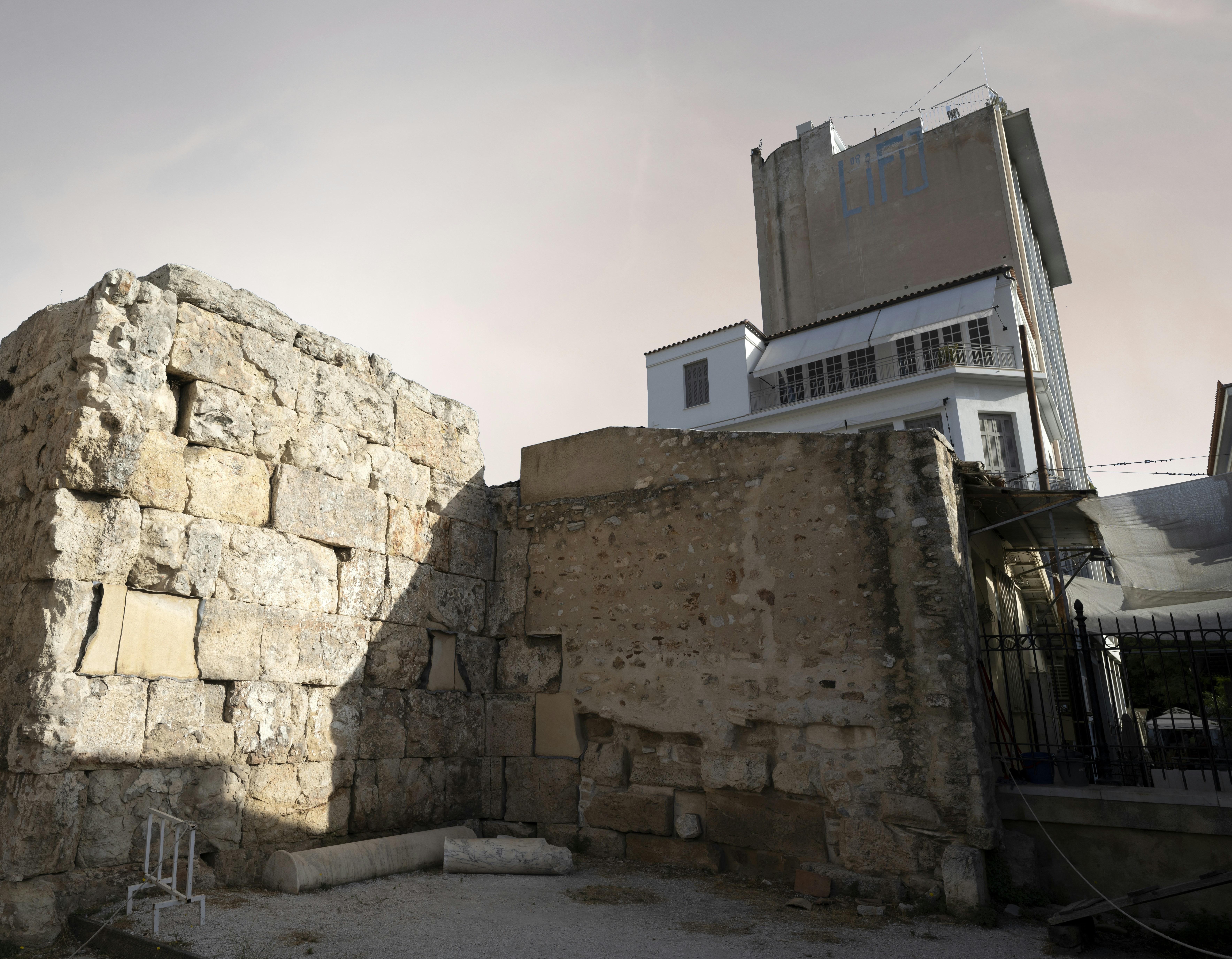 Photo by Dave Meckler with Nikon Z7 II