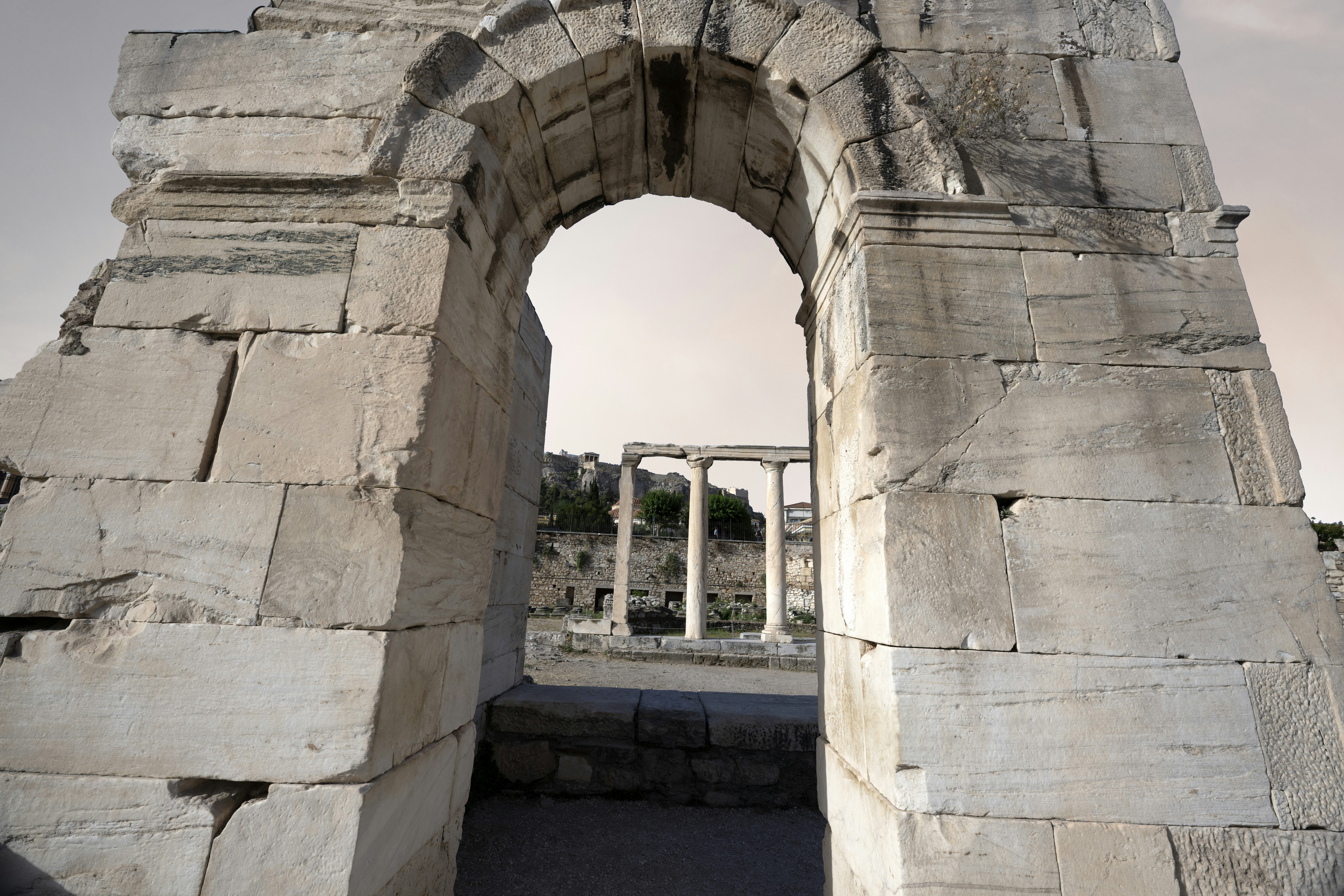 Photo by Dave Meckler with Nikon Z7 II