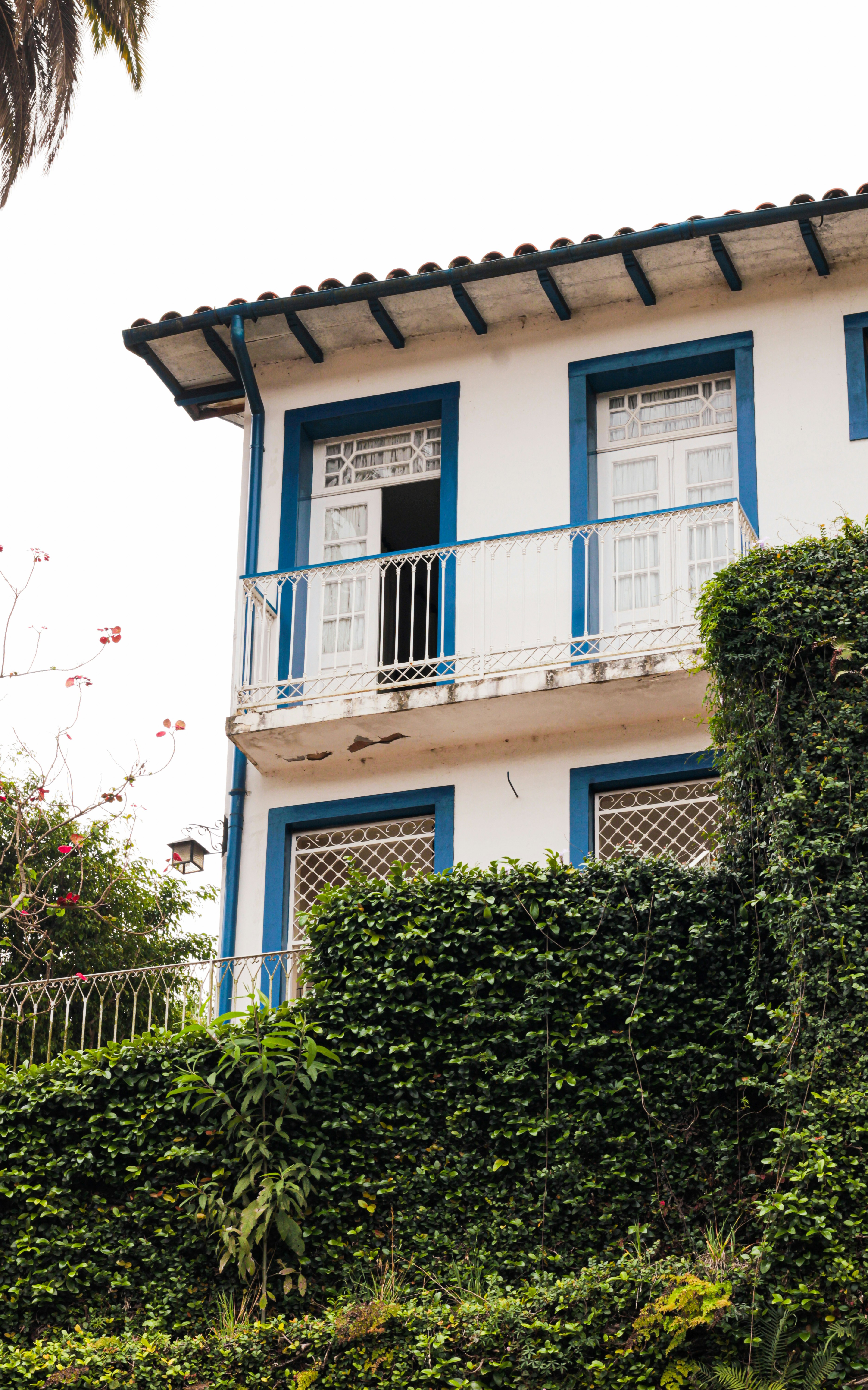 Photo by Samuell Morgenstern with Canon EOS 2000D