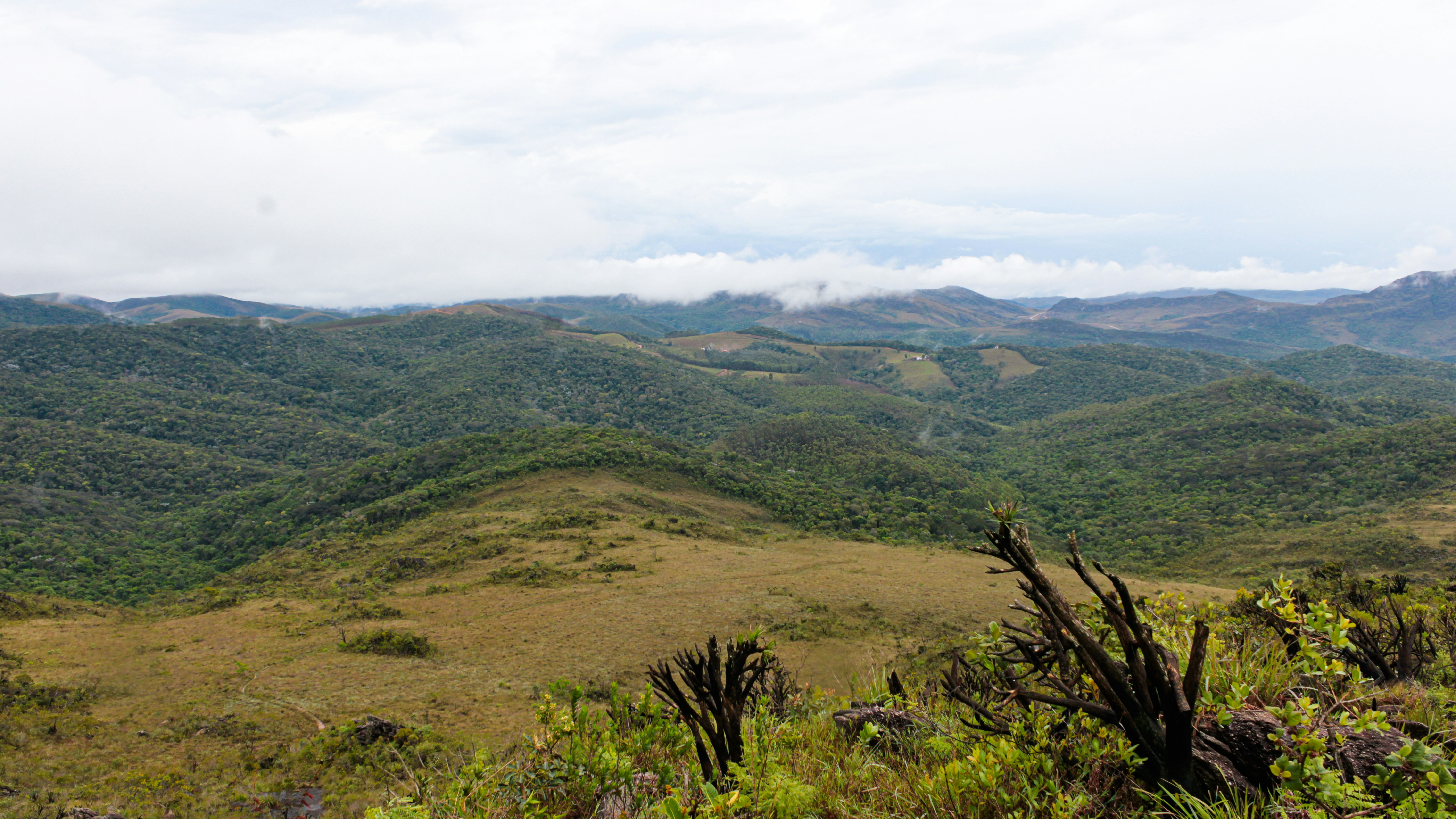 Photo by Samuell Morgenstern with Canon EOS 2000D