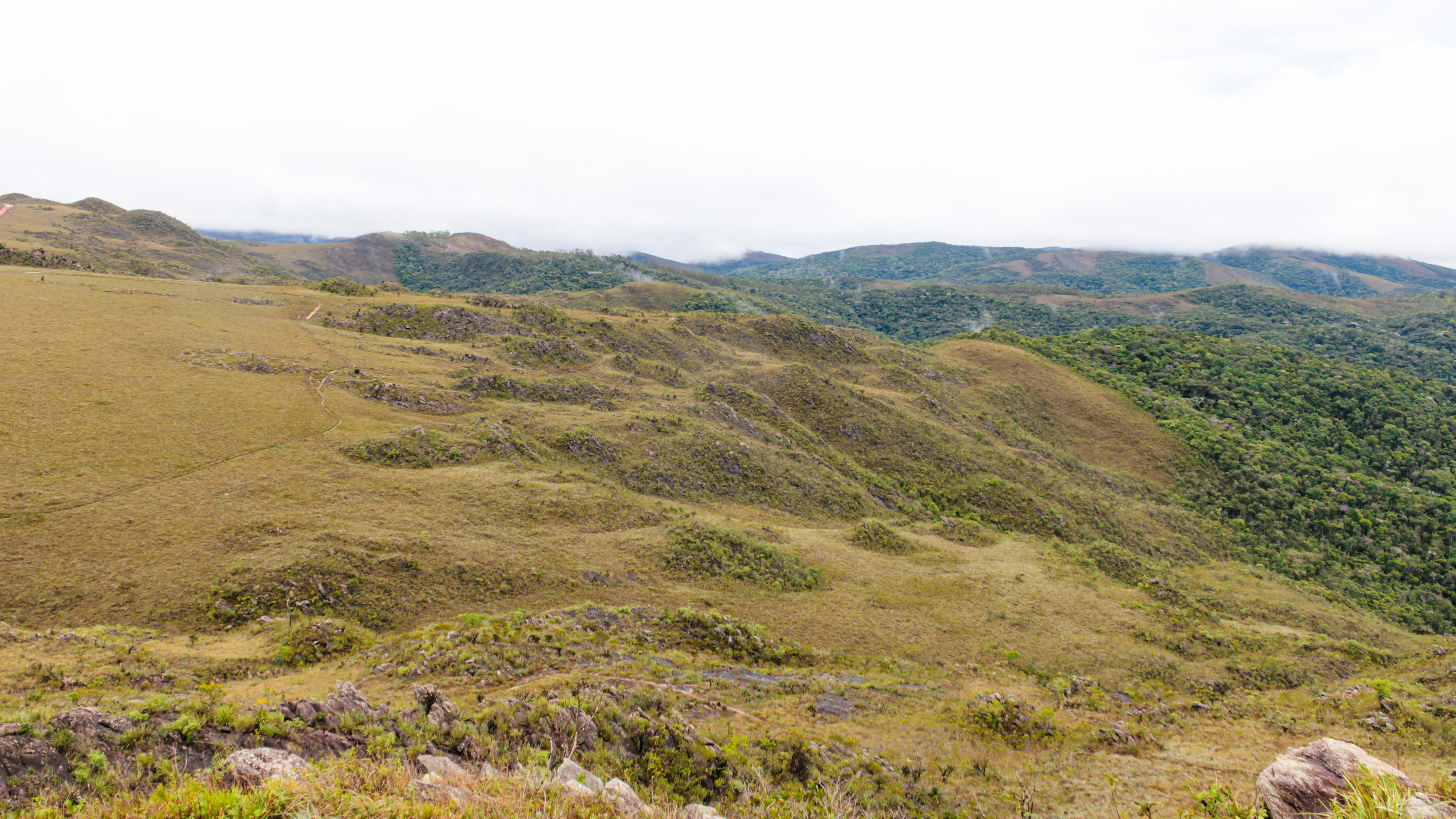 Photo by Samuell Morgenstern with Canon EOS 2000D