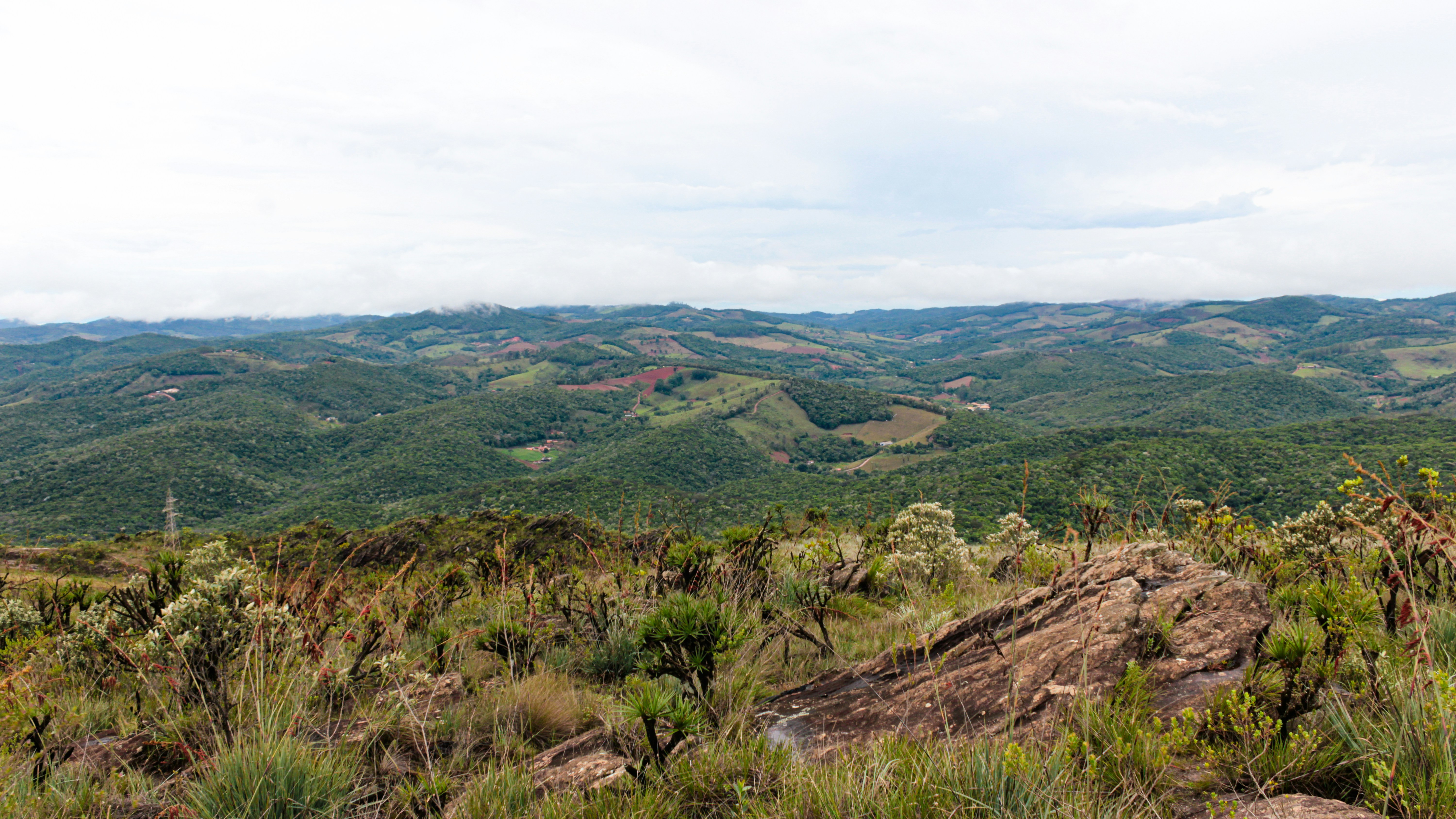 Photo by Samuell Morgenstern with Canon EOS 2000D