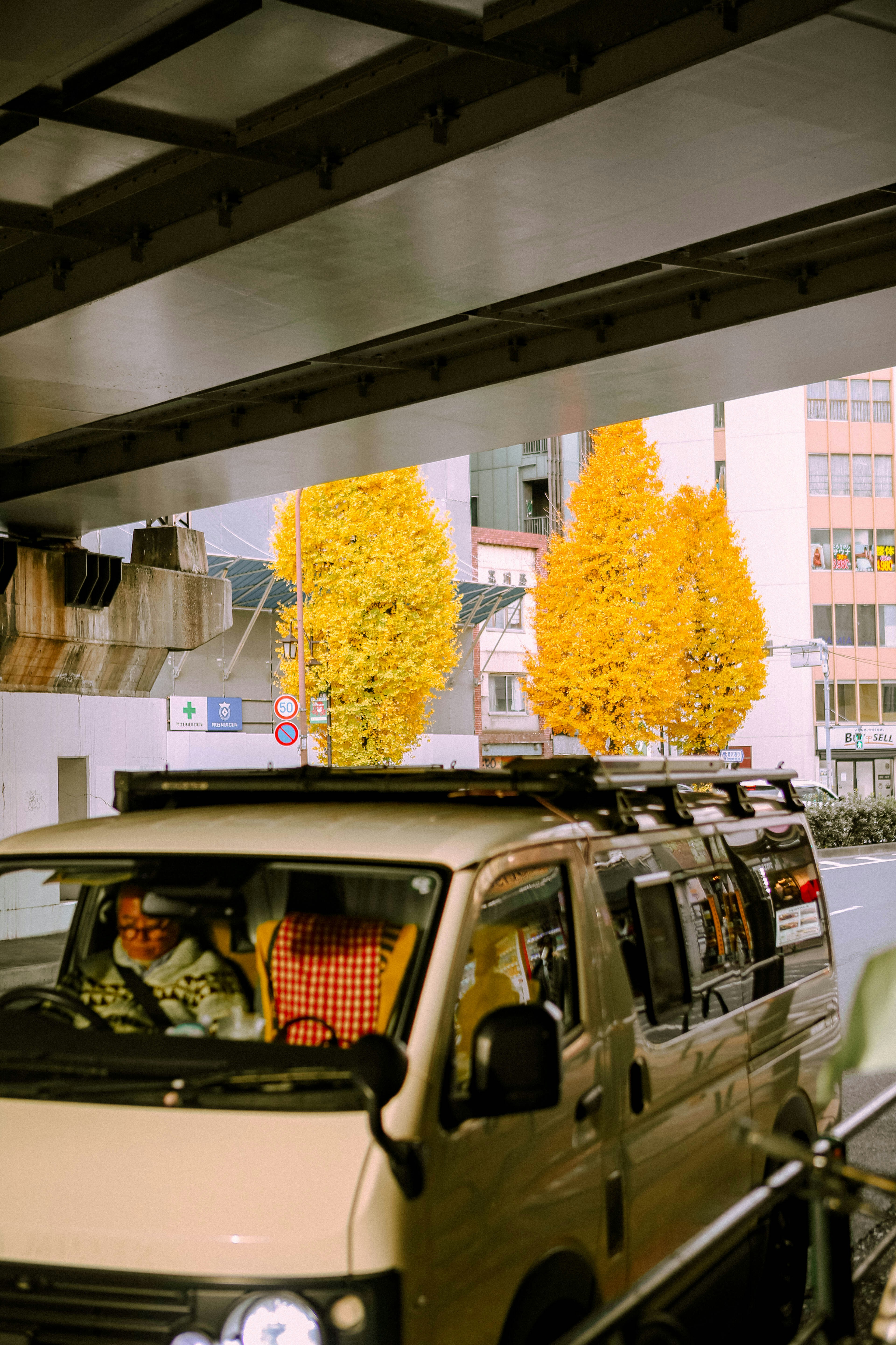 Under the Overpass: a White Van Anchored by Autumn-Golden Trees