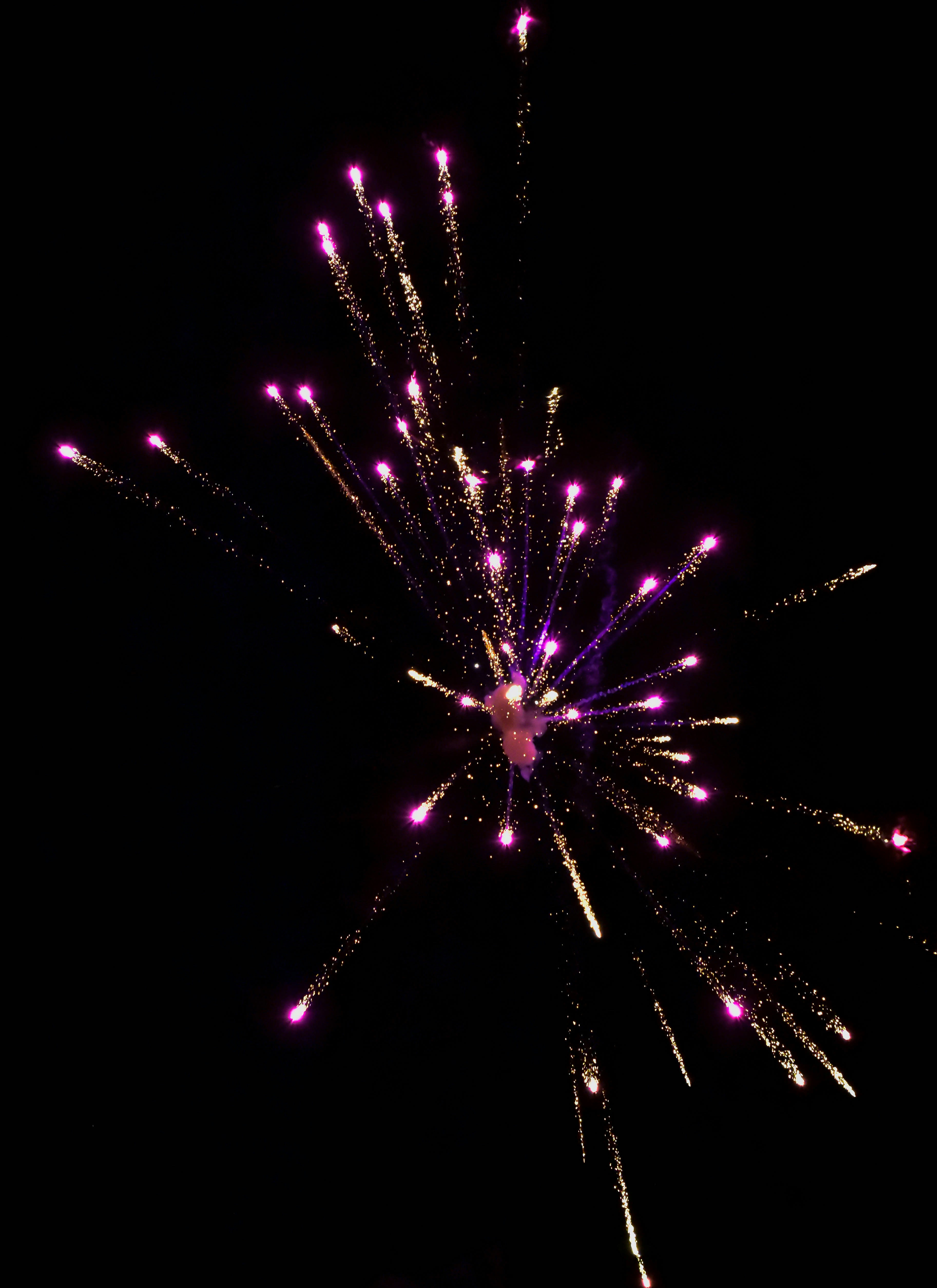 Arawak Lens (@arawaklens) | Unsplash Photo Community