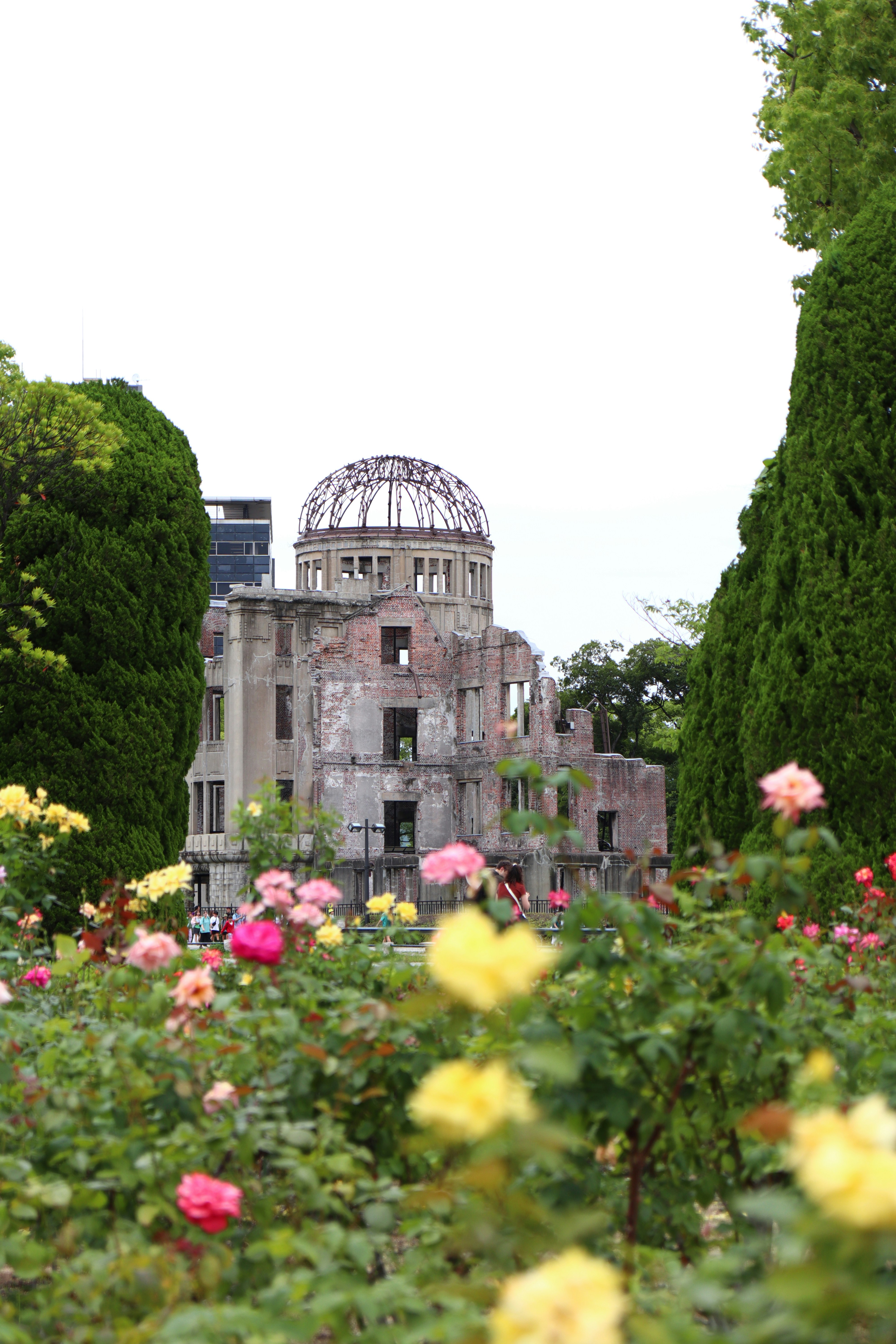 Dome of Ruin Rising Through a Rose-Garden Frame