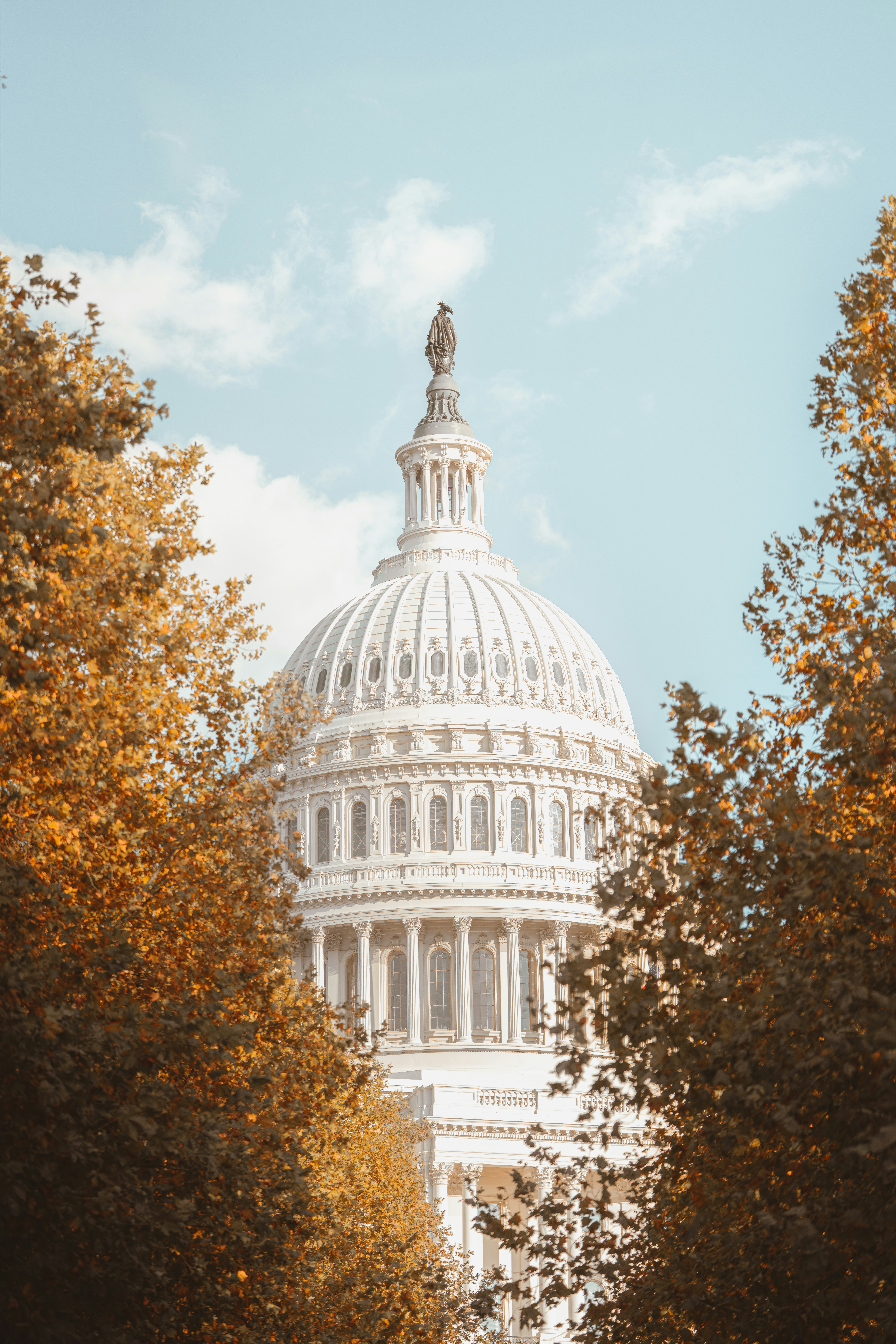Autumn Canopy Framing the Capitol Dome Against a Clear Blue Sky