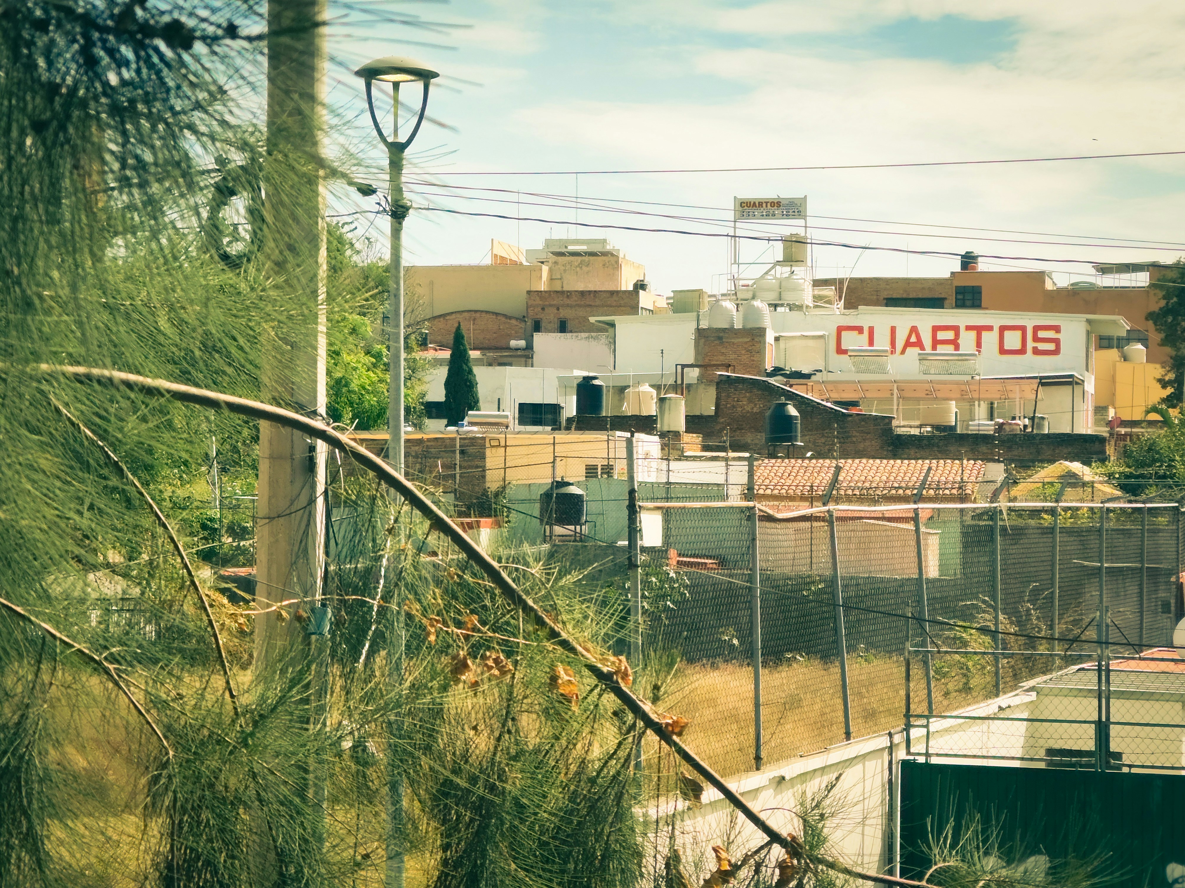 Photo by Jennifermm with Nothing Phone 3a