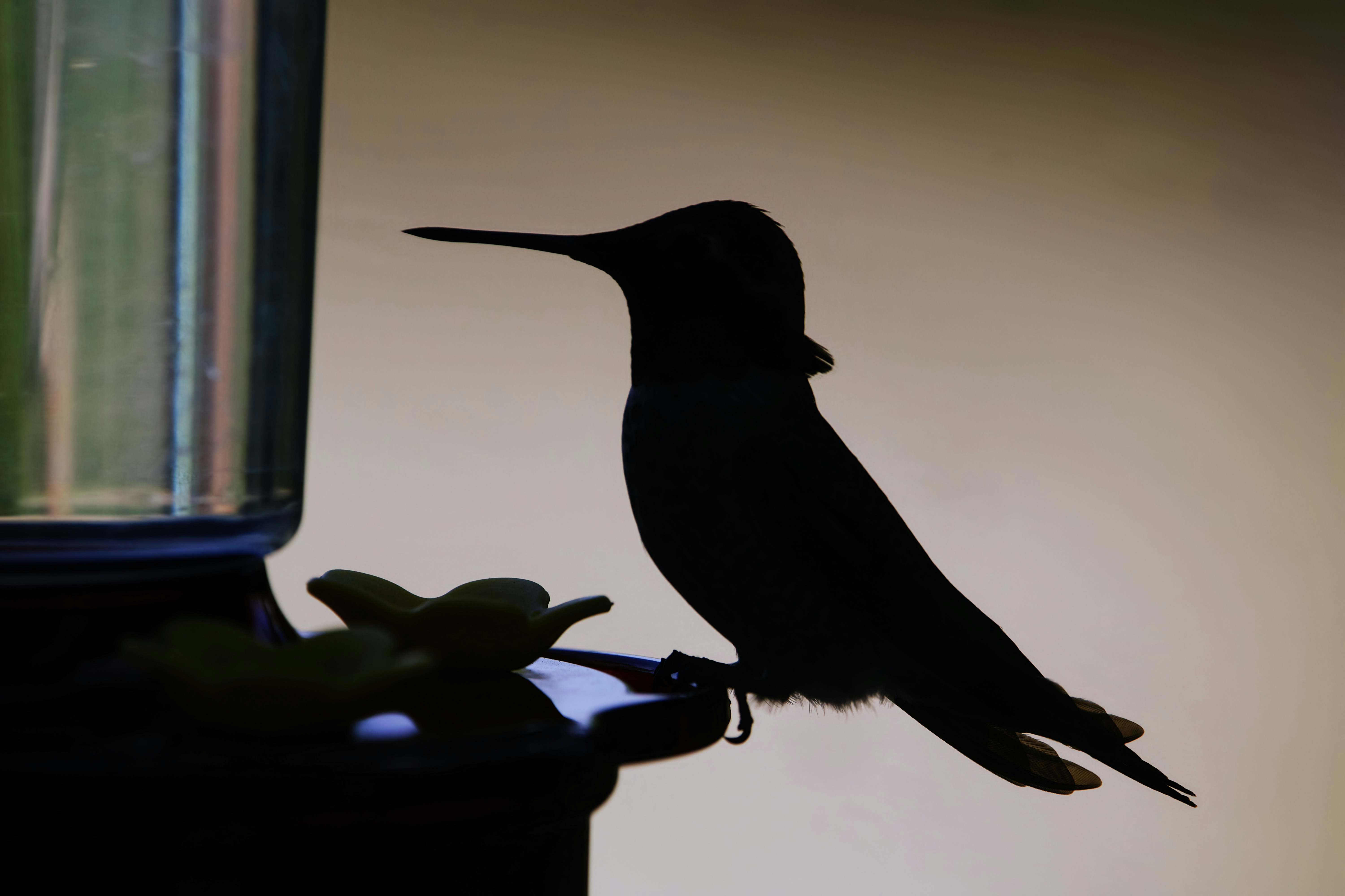 Photo by James Lee with Canon EOS 750D