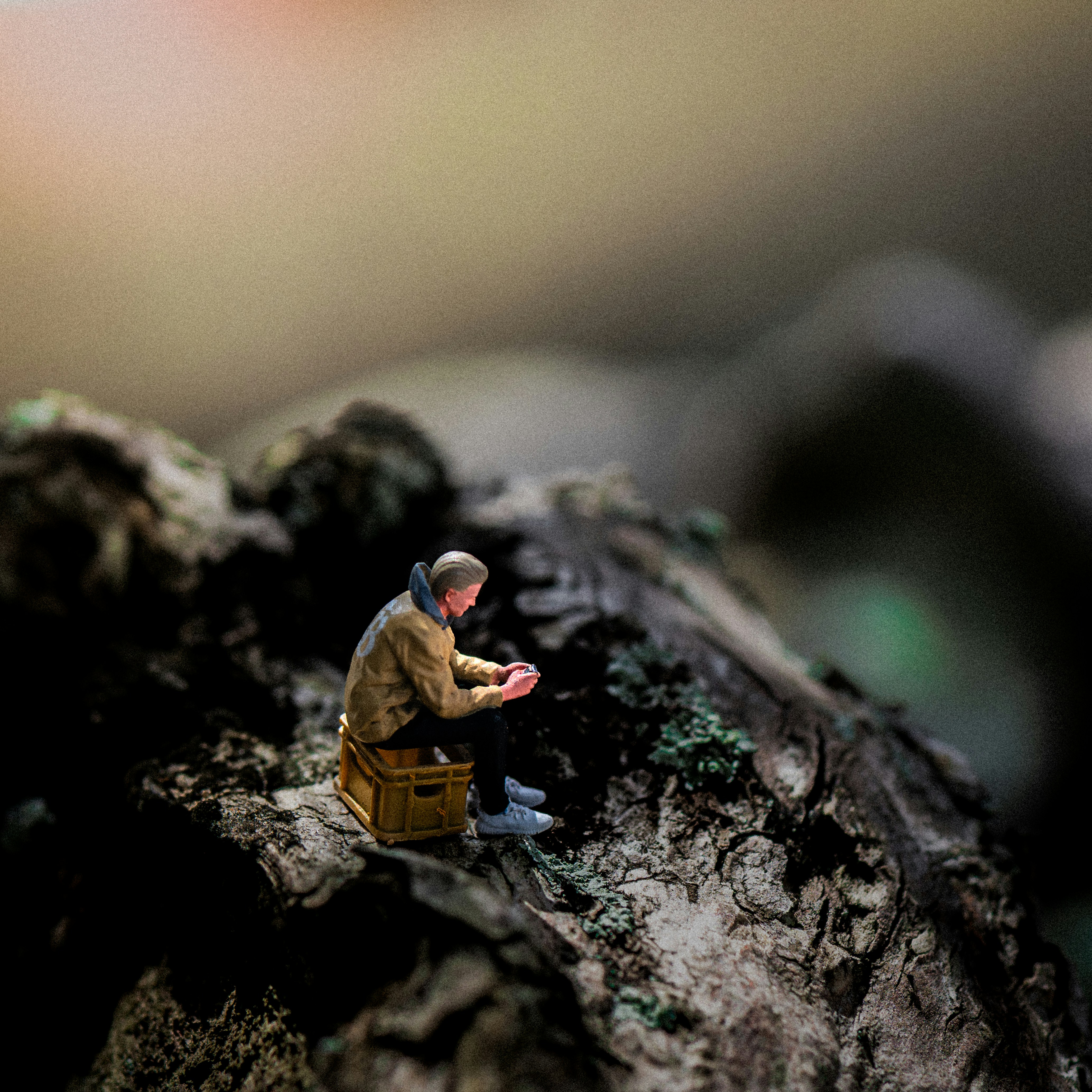 Tiny Scout on a Cracked Log: Micro-Adventurer Rests at the Forest Edge