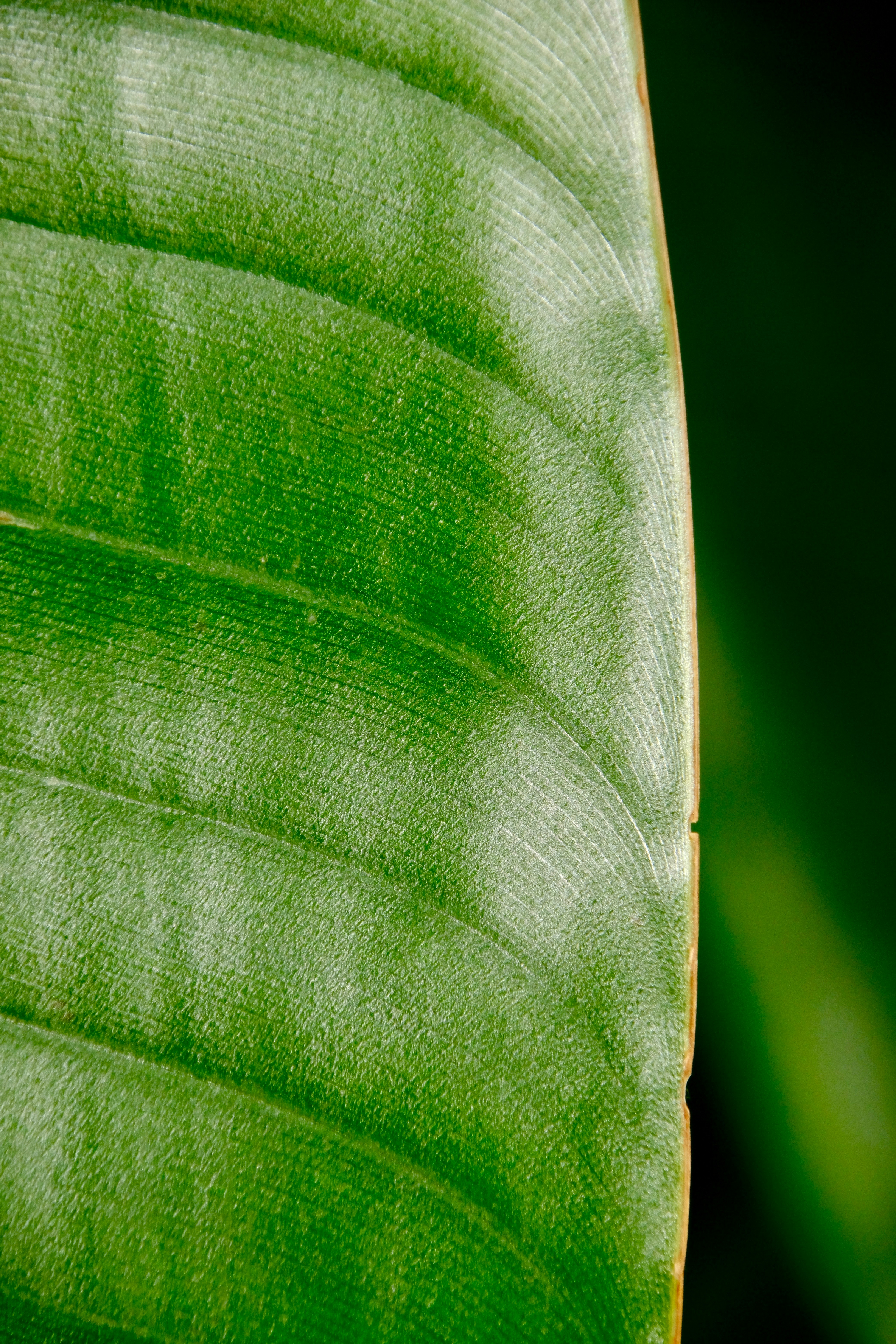 Photo by Alex He with Fujifilm X-T30 II