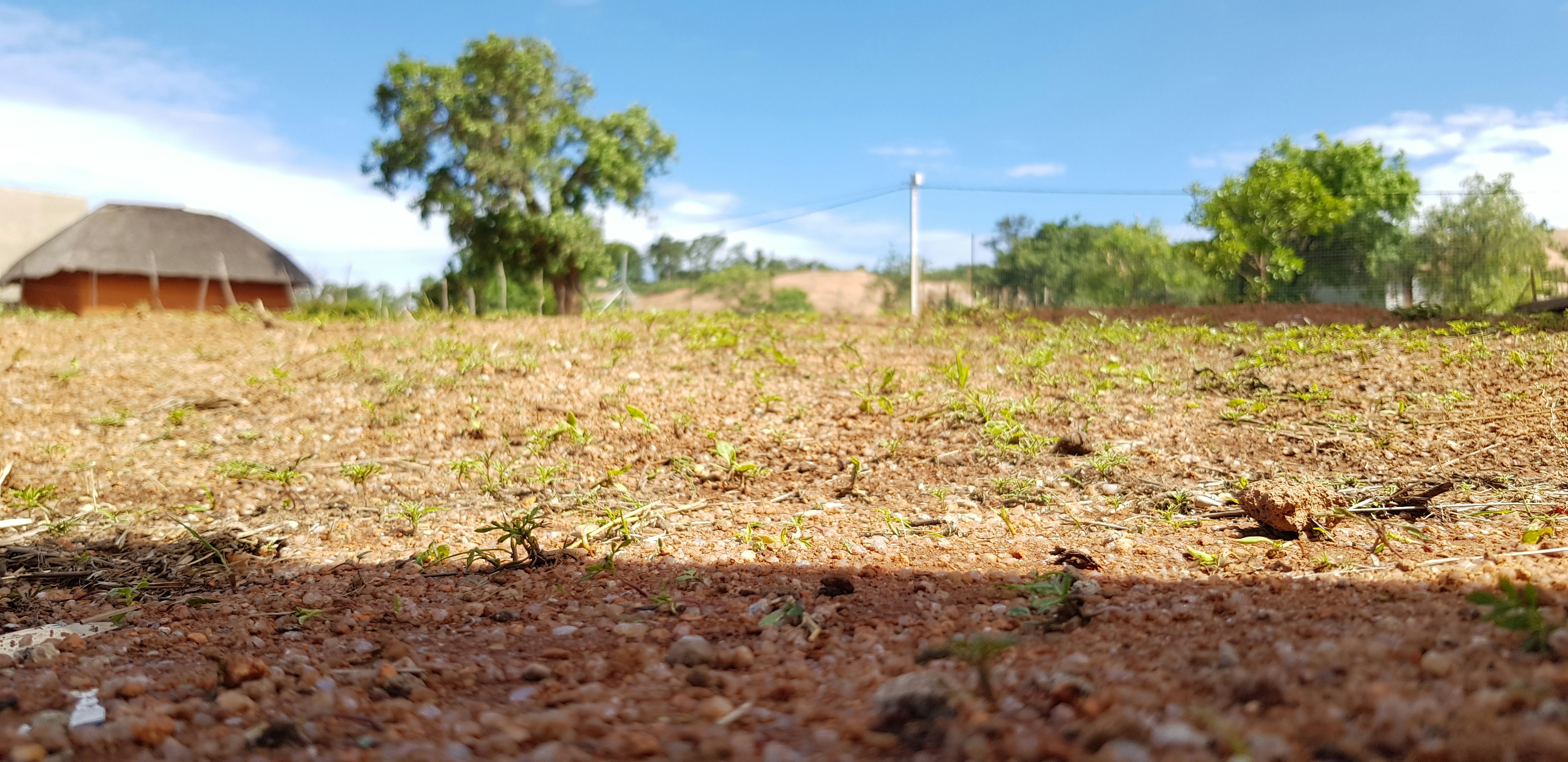 Katlego Ledwaba (@katlego_m_ledwaba) | Unsplash Photo Community