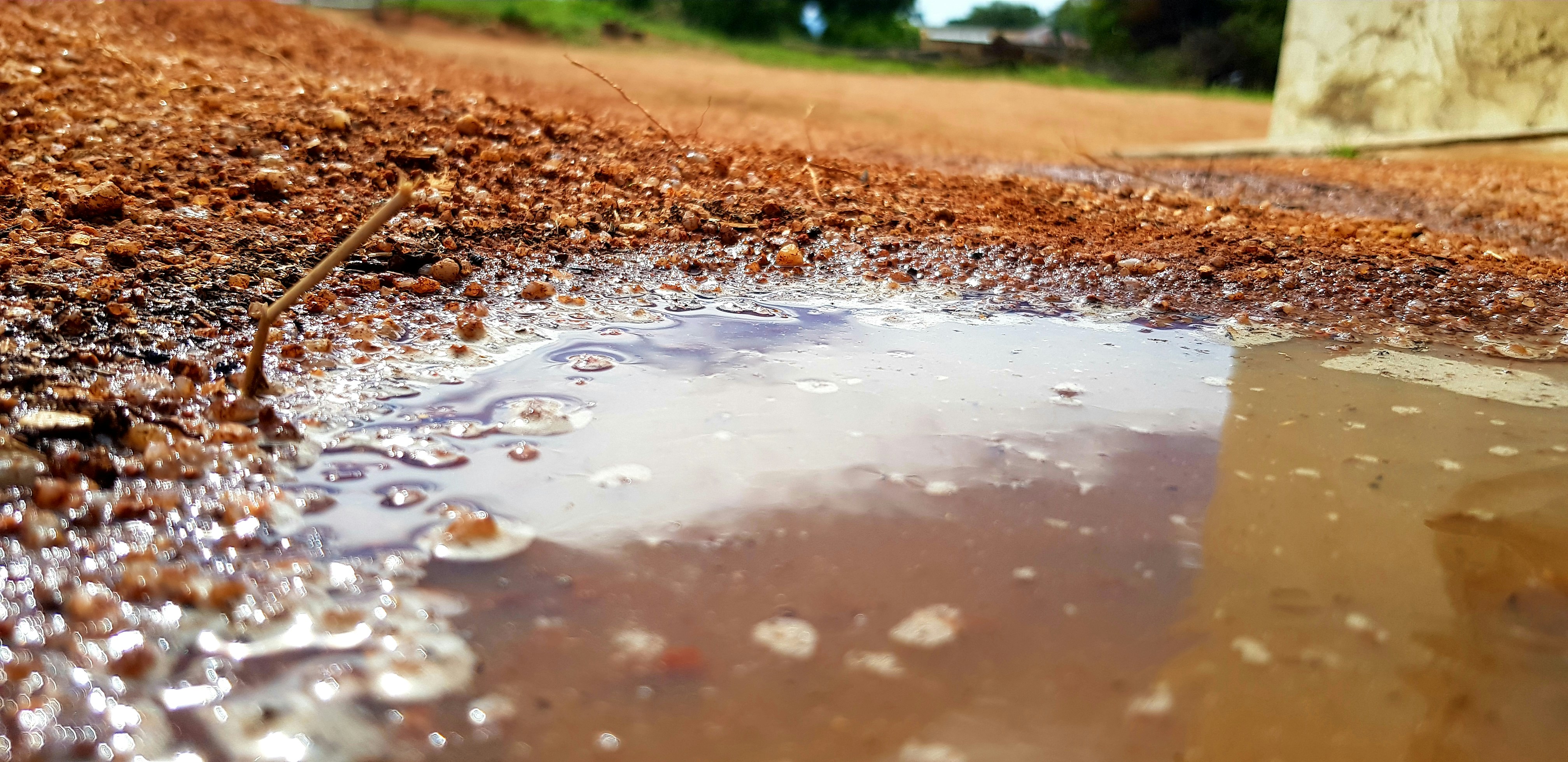 Katlego Ledwaba (@katlego_m_ledwaba) | Unsplash Photo Community