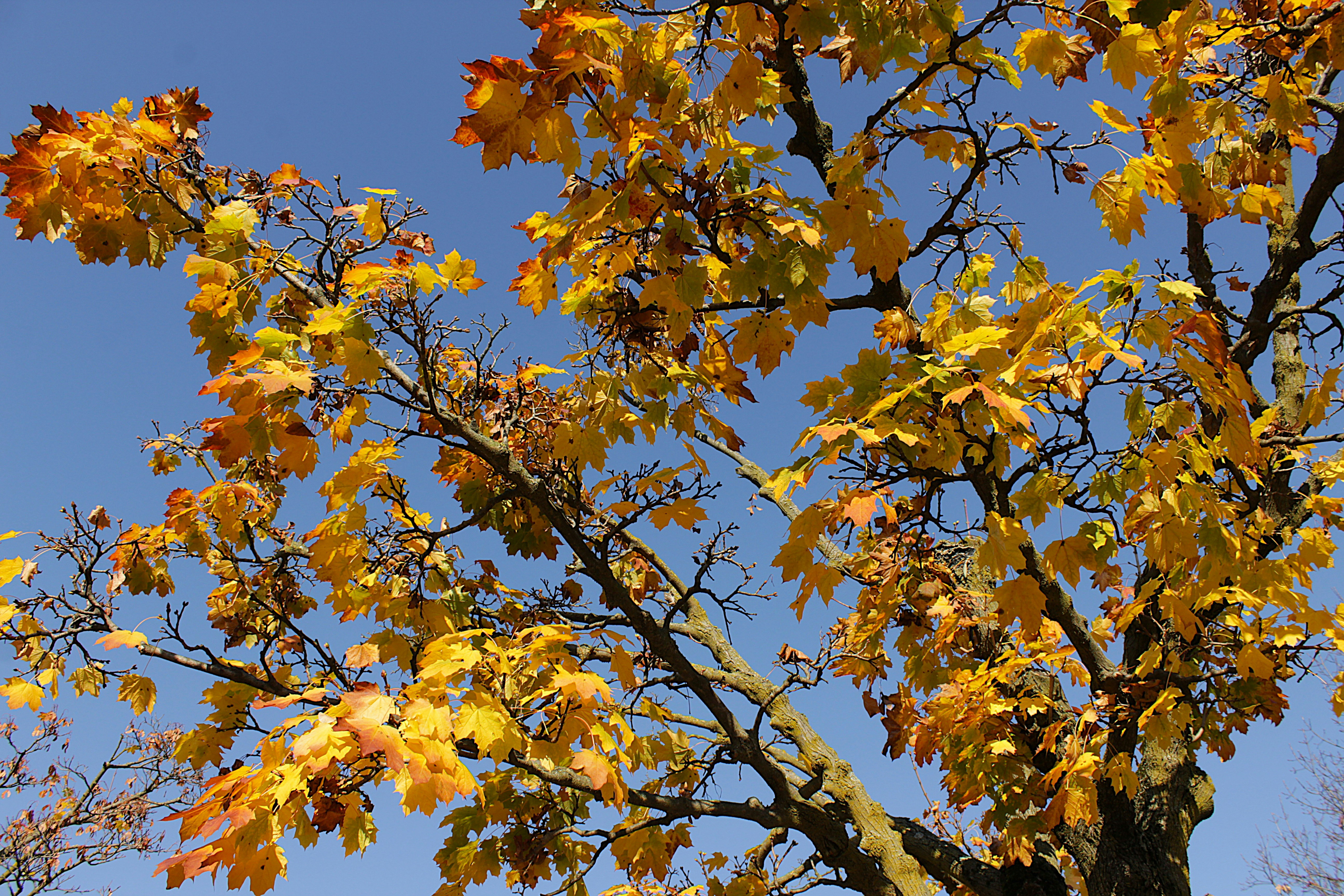 Photo by Francesca Piva with Canon EOS 1300D