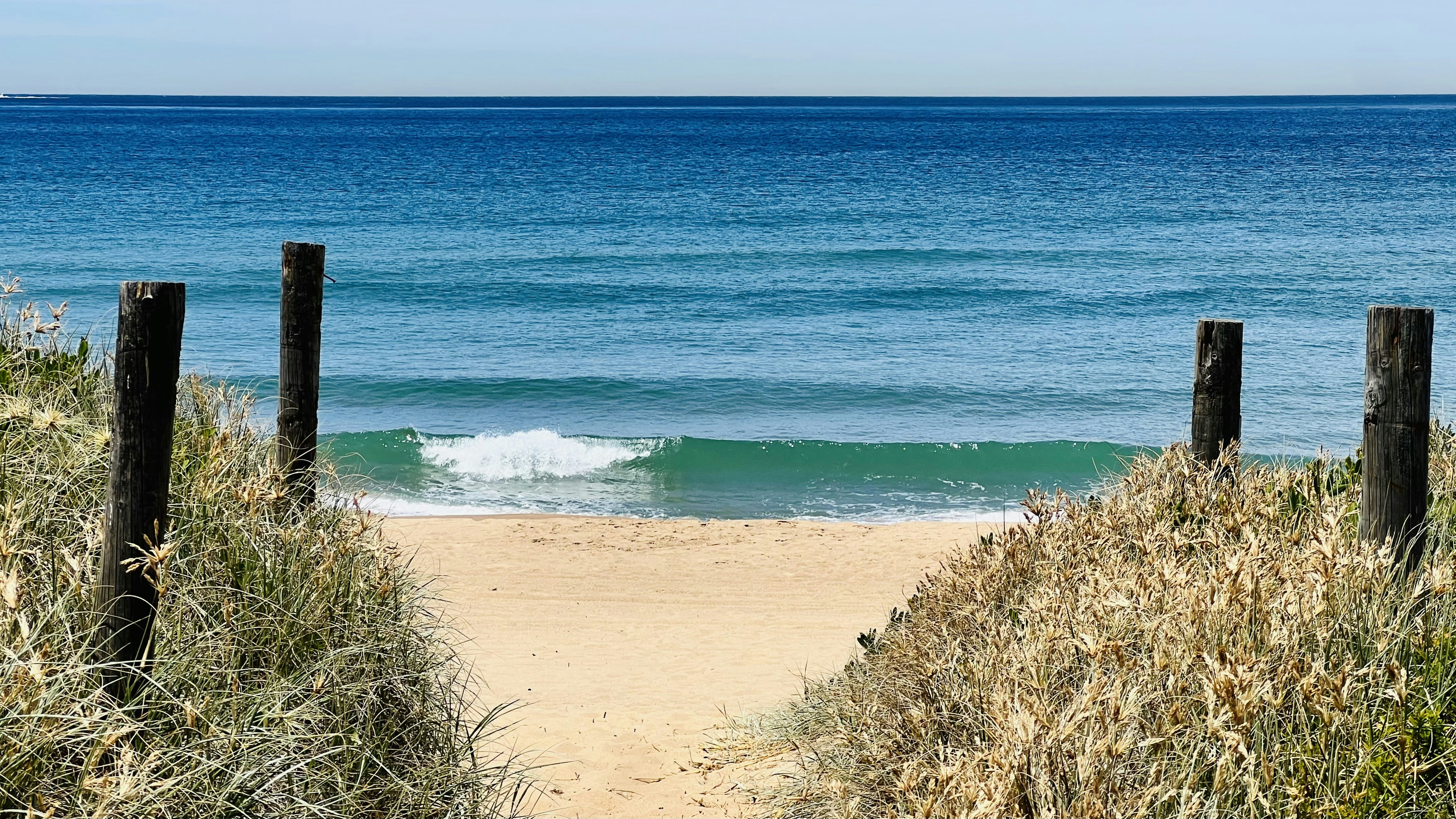 Dune Gateways: A Seaside Walk Toward the Blue Horizon