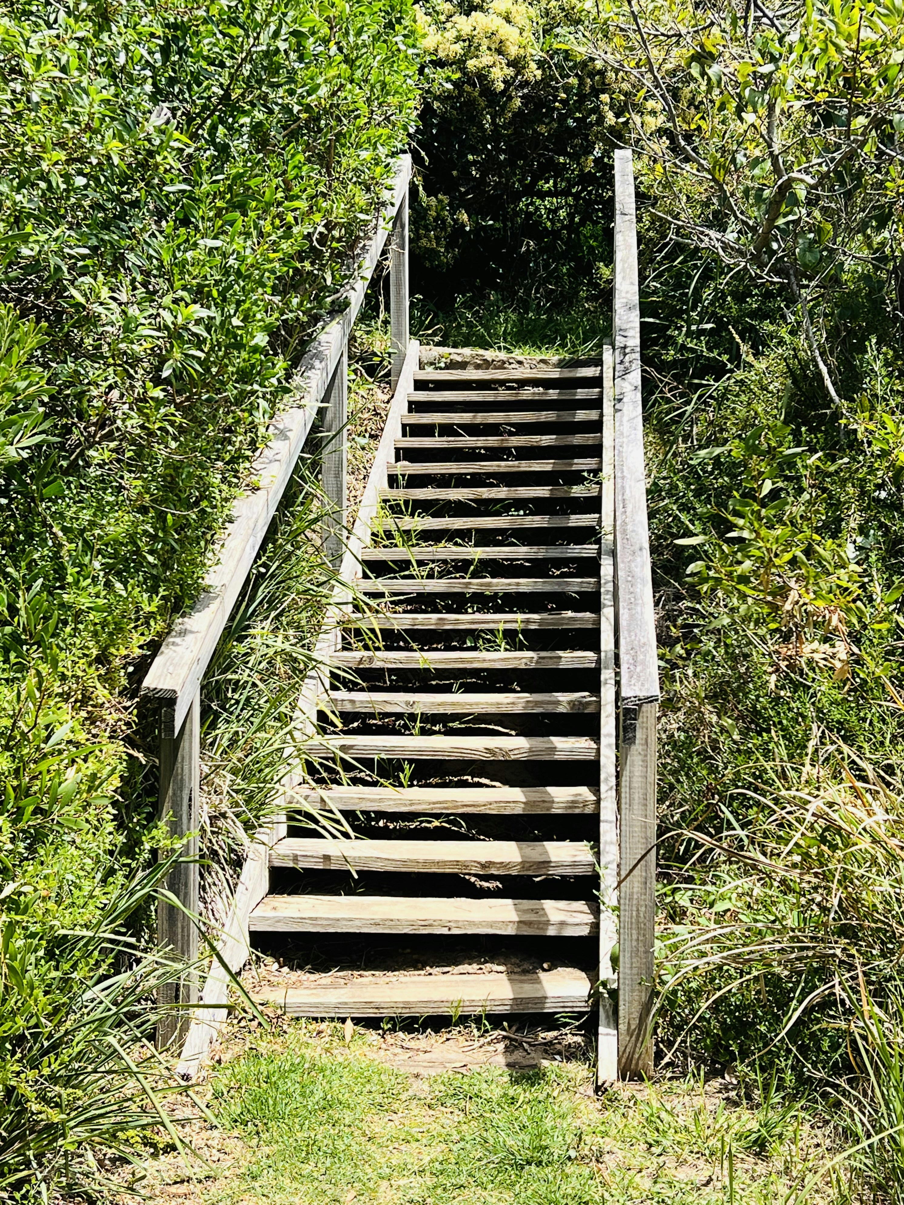 Photo by Philip de Couter with Apple iPhone 13 Pro Max