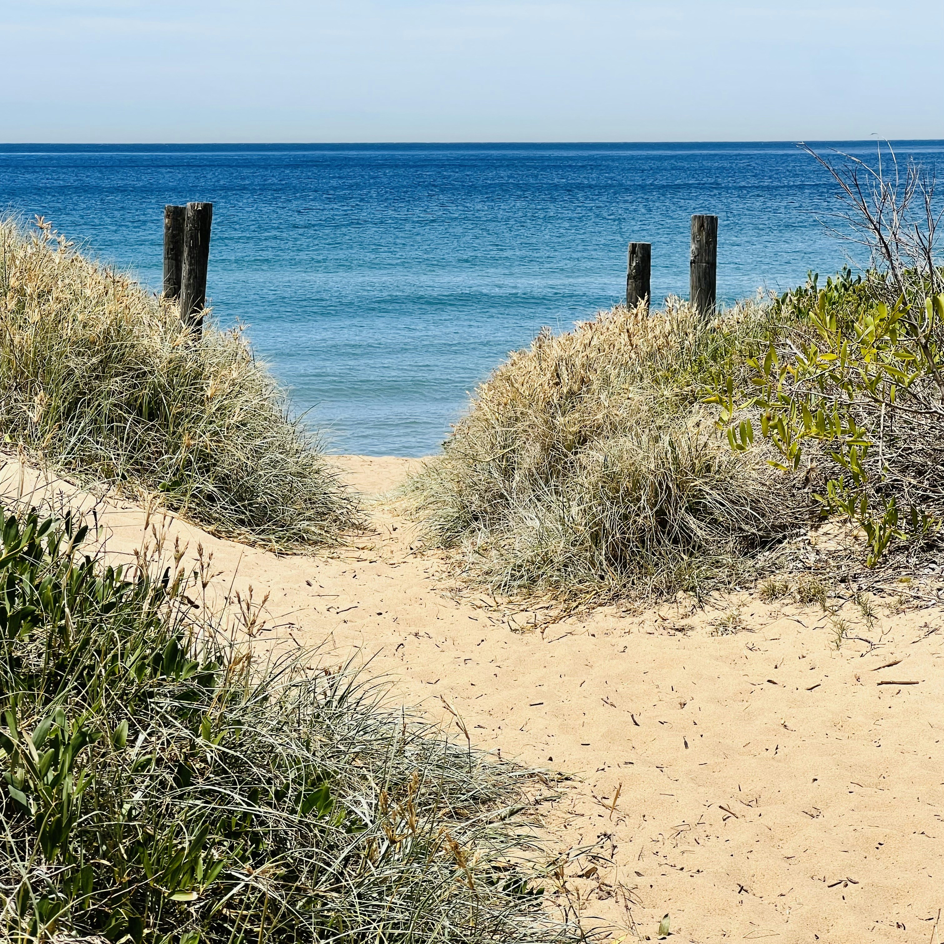 Photo by Philip de Couter with Apple iPhone 13 Pro Max