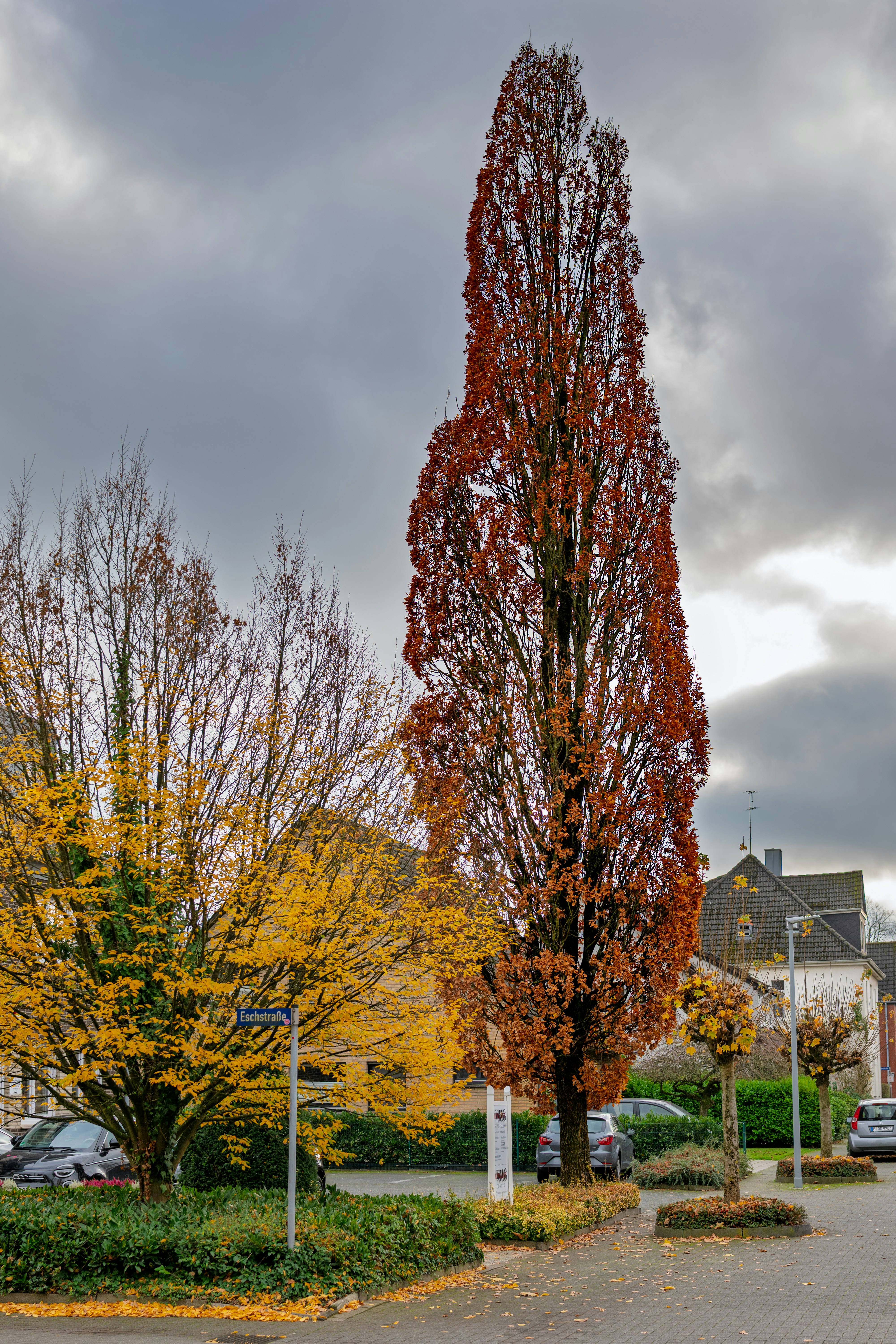 Crimson Spire Rising Over a Quiet Autumn Suburb