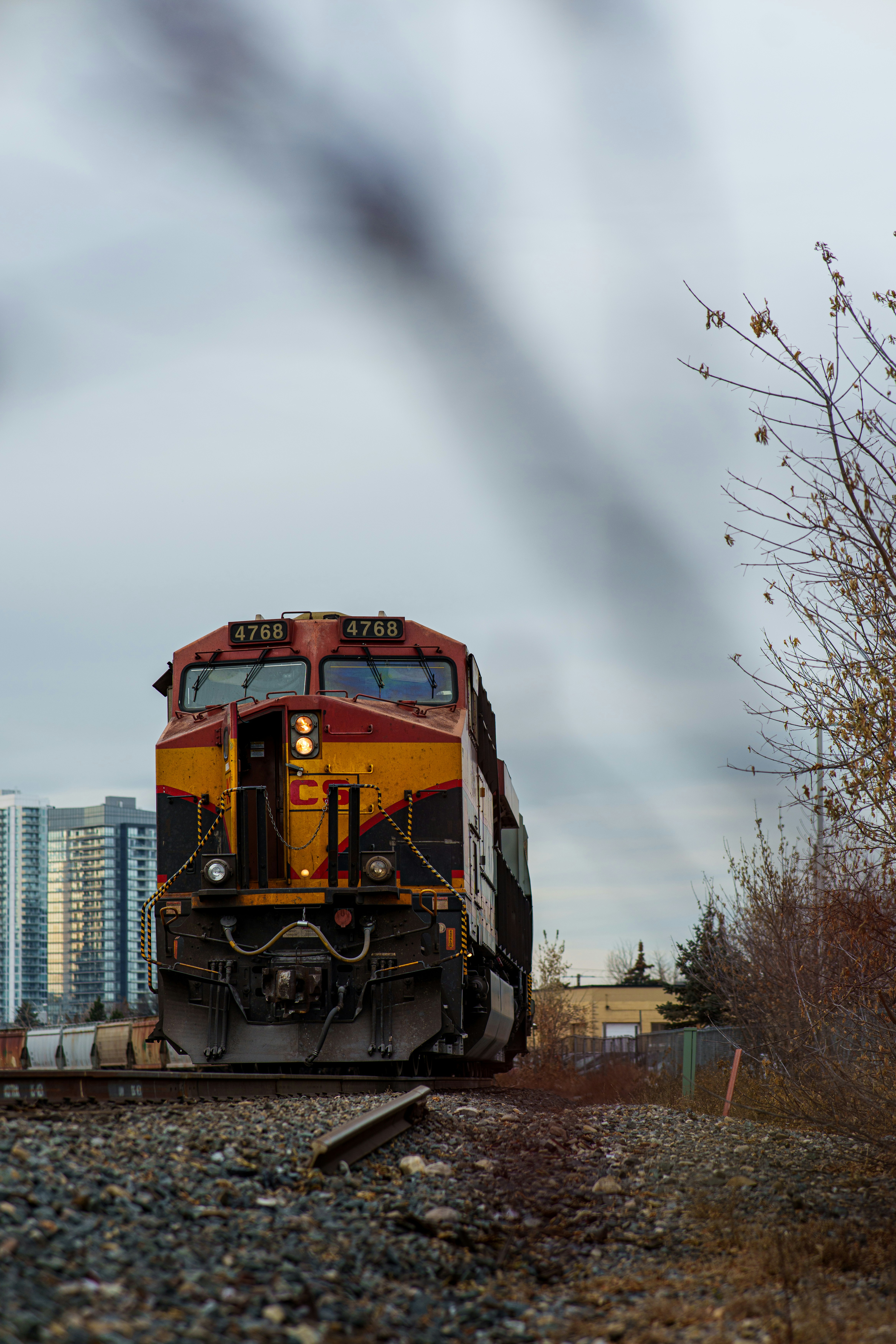 Photo by Josh Marty with Sony Alpha 7 IV