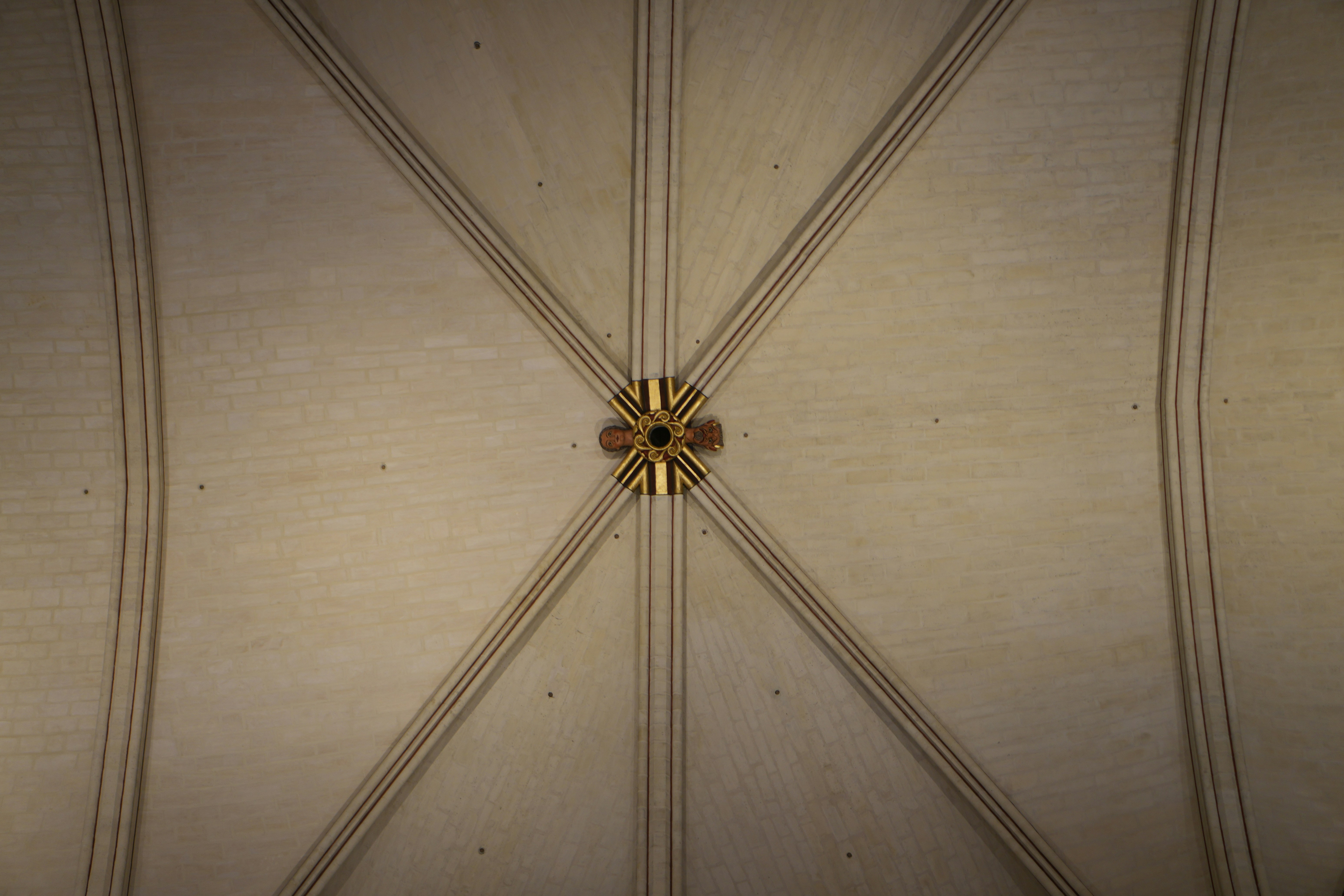 Converging Ribs and a Central Medallion: Vault Lines in Quiet Grandeur