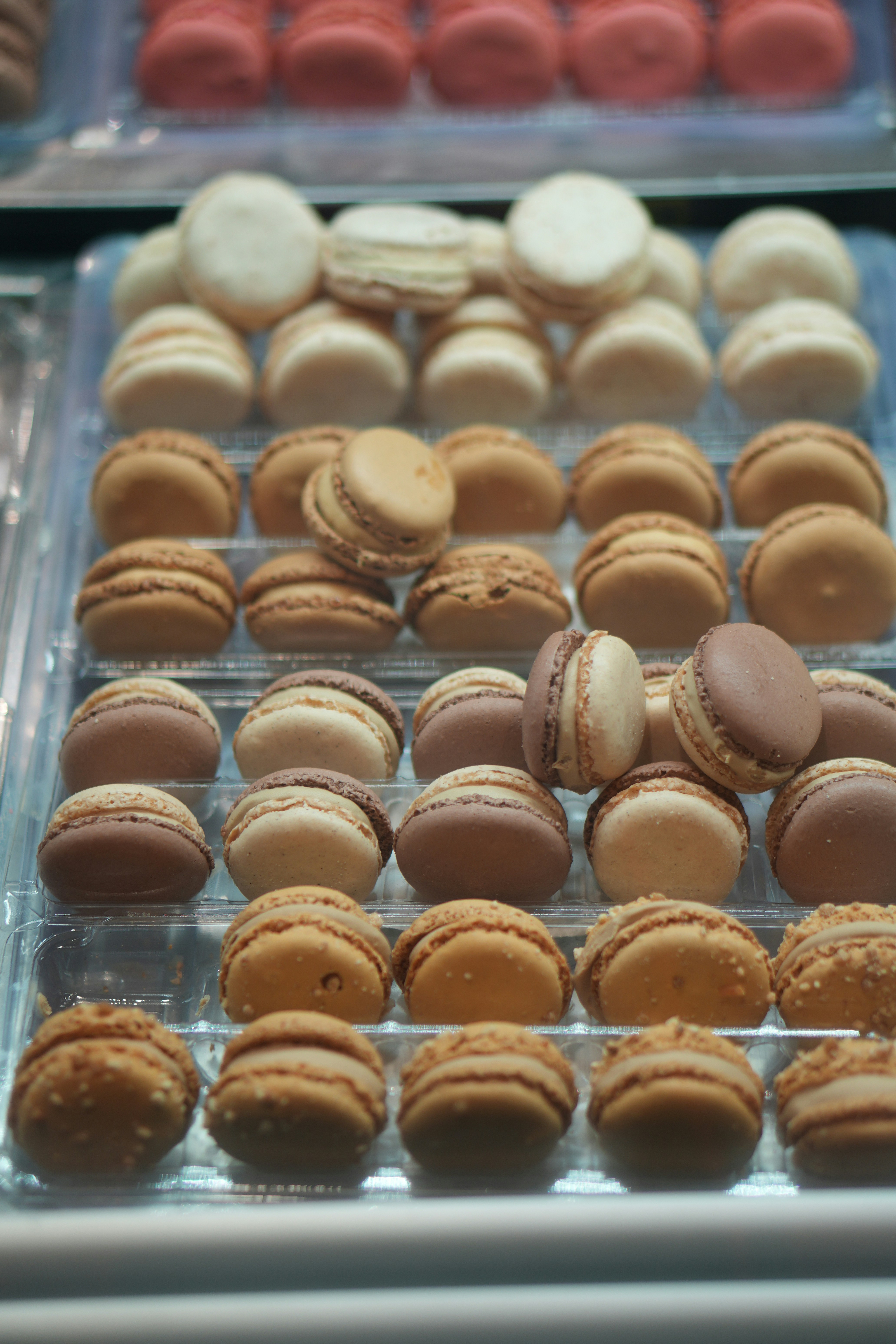Creamy Macaron Rows in a Frosted Display Case