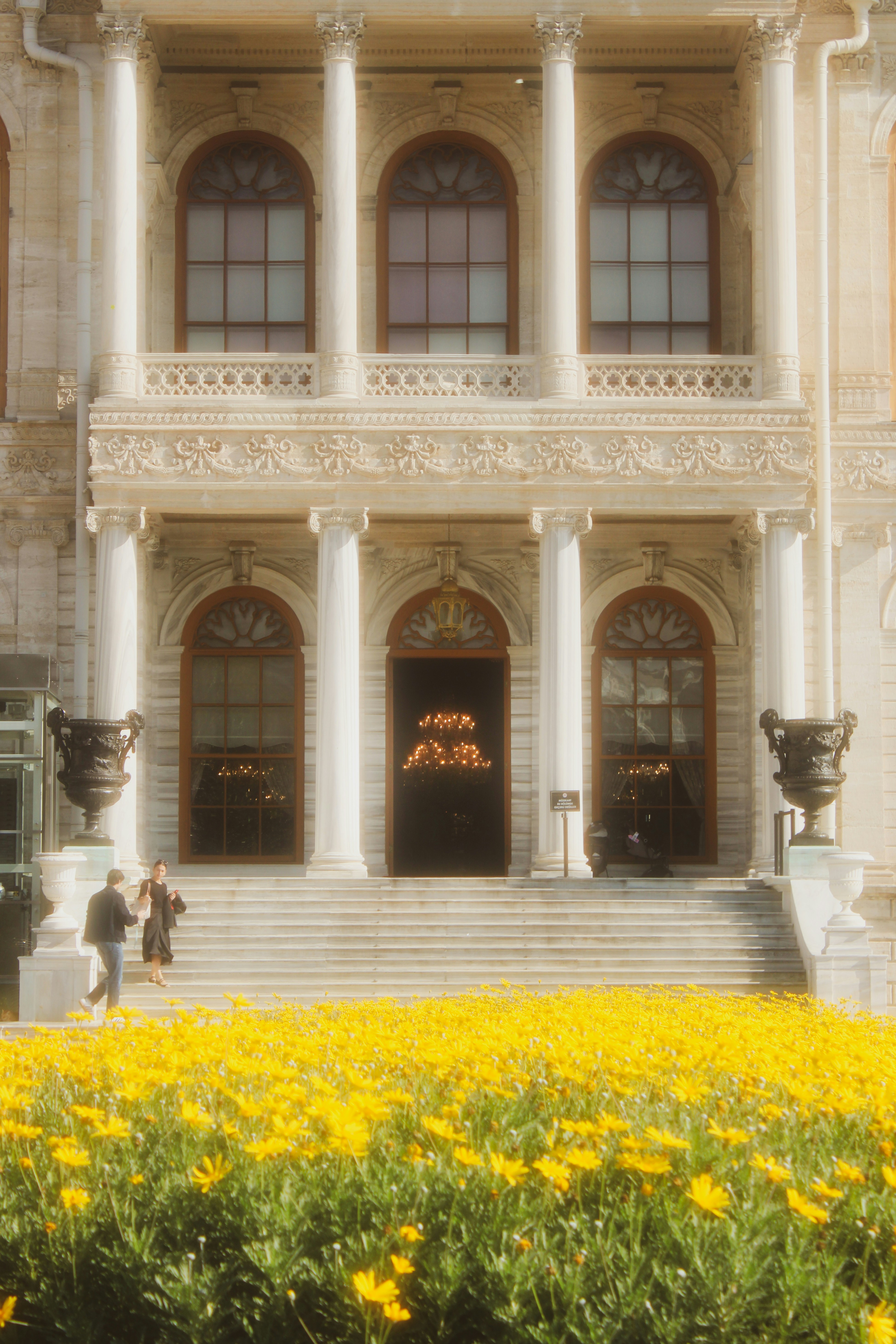 Golden Blooms Framing a Marble Facade: Sunlit Columns and a Grand Staircase